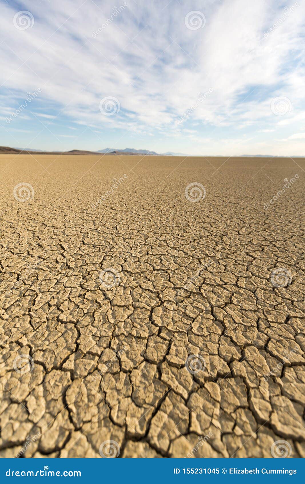 Cracked Playa Mud Texture from the Desert Stock Image - Image of arid ...