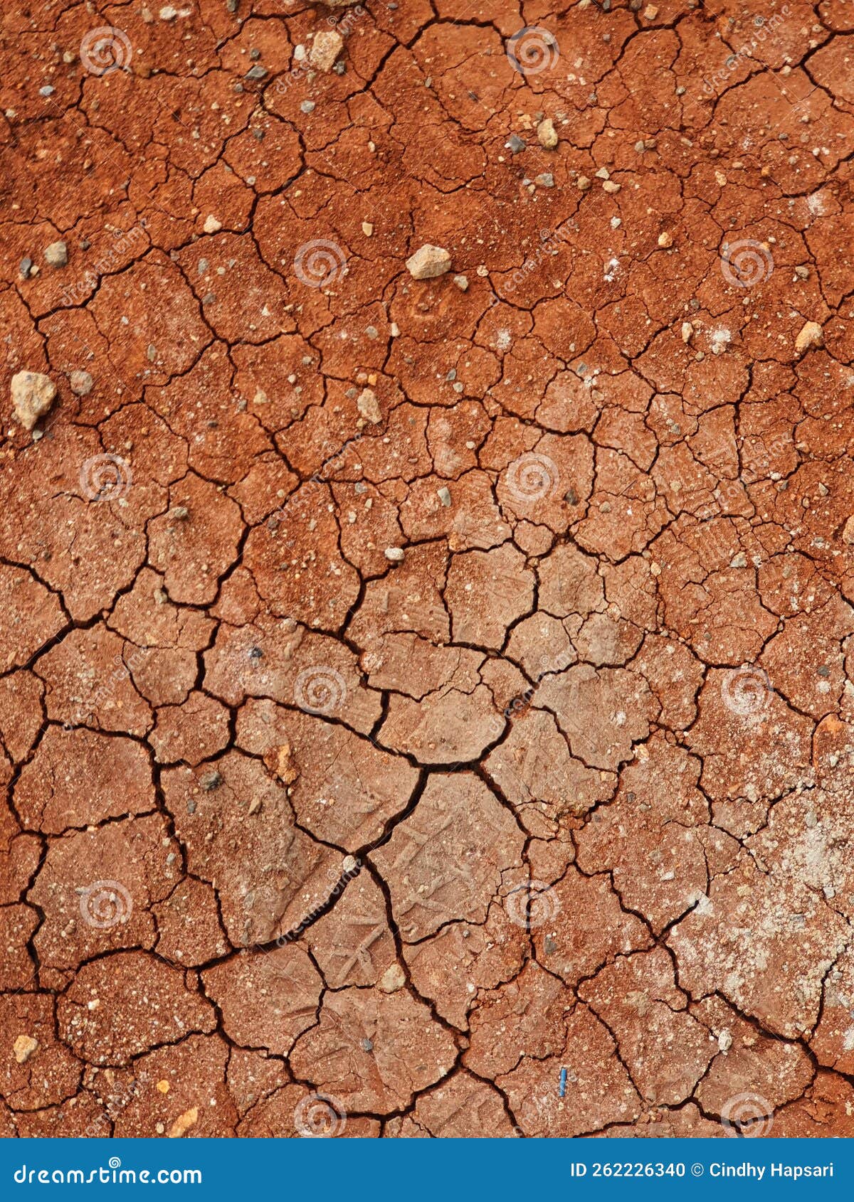 Cracked Red Clay from Drought Stock Photo - Image of desert, dead ...