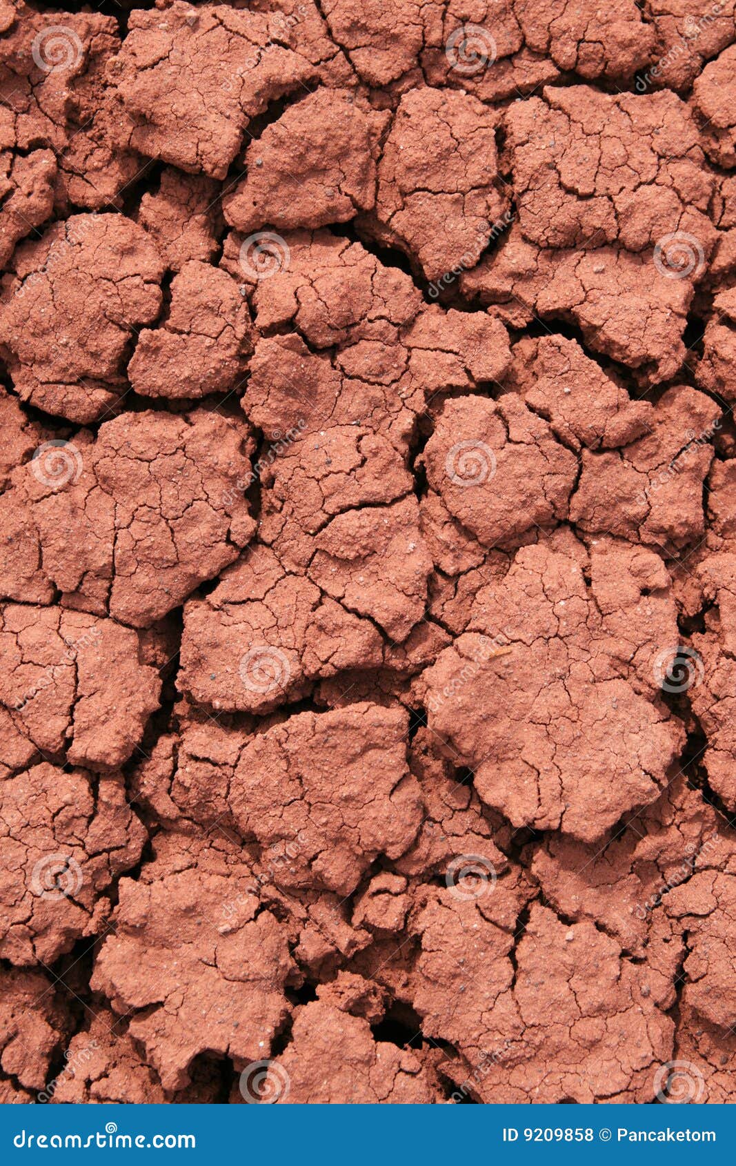 Cracked red ground stock photo. Image of clayey, cracked - 9209858