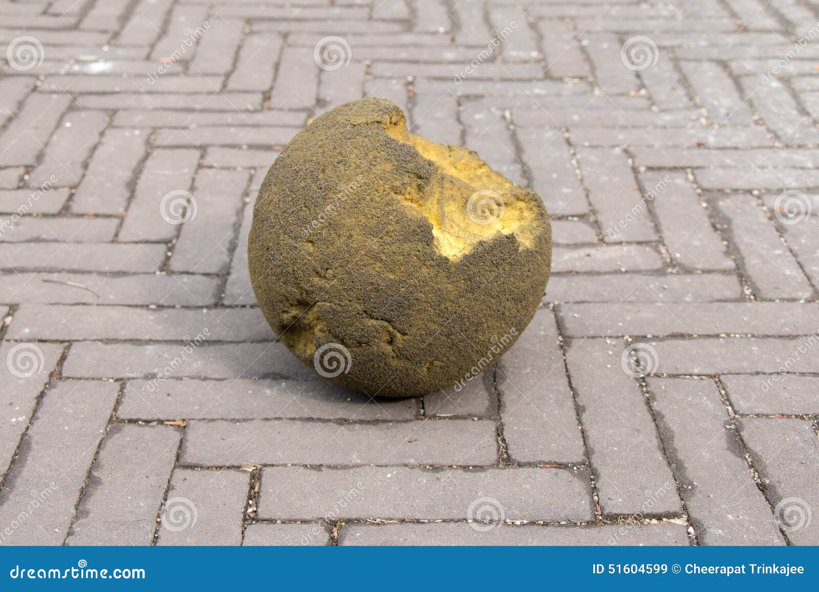 Rock Ball At The Target Market Drive Way Royalty-Free Stock Photo ...