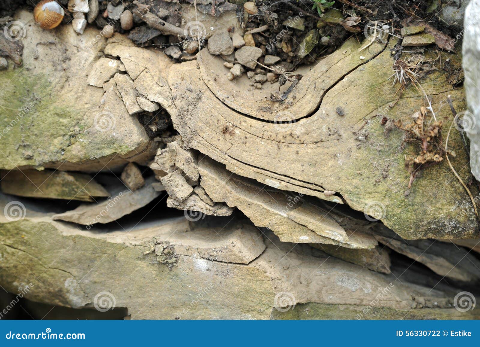 Cracked rock stock photo. Image of natural, surface, stone - 56330722