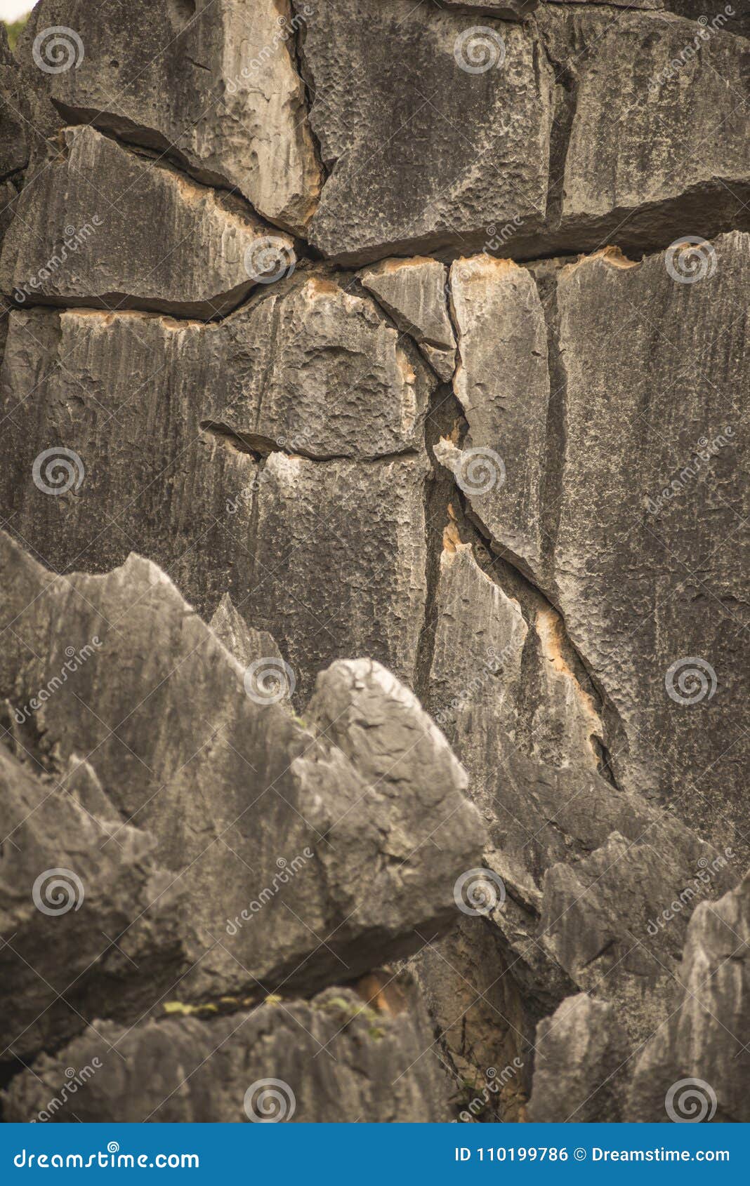 Cracked rock 2 stock photo. Image of forest, limestone - 110199786