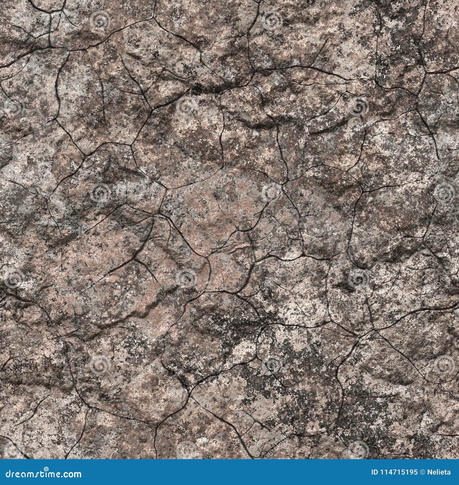 Cracked Rock Texture