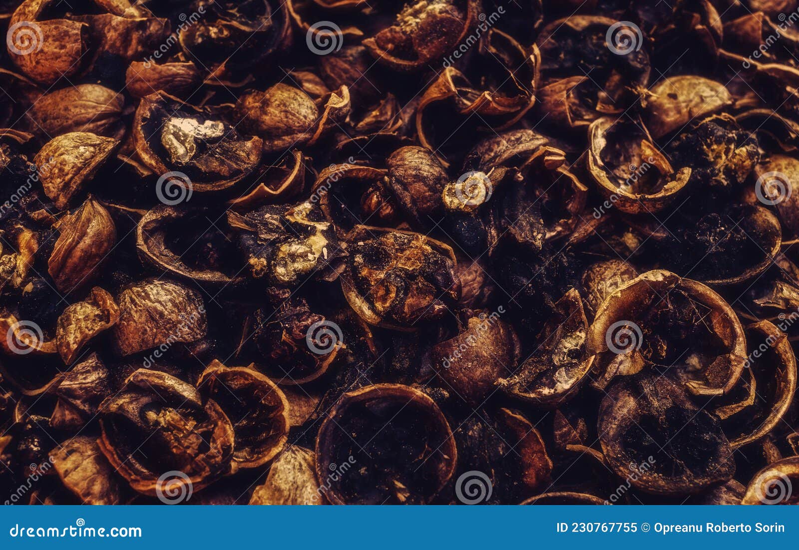 Cracked Rotten Nuts Infected with Mold Stock Image - Image of fruit ...