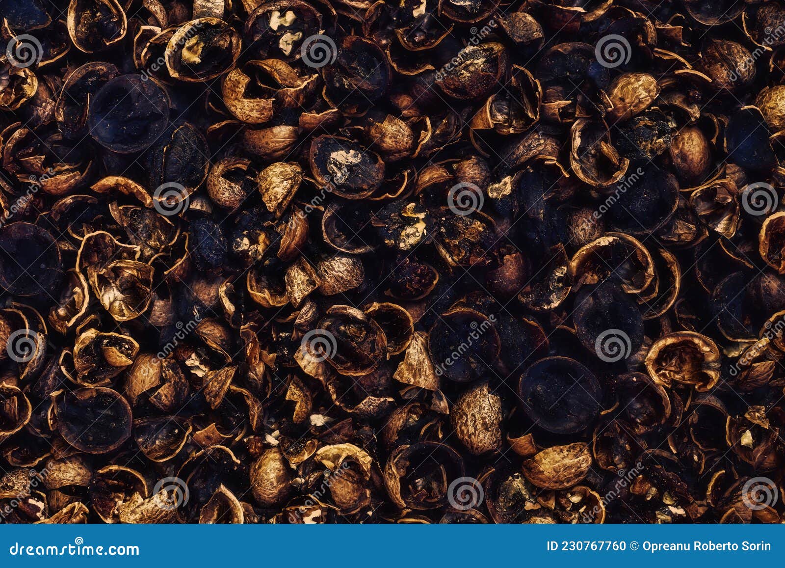Cracked Rotten Nuts Infected with Mold Stock Photo - Image of ...