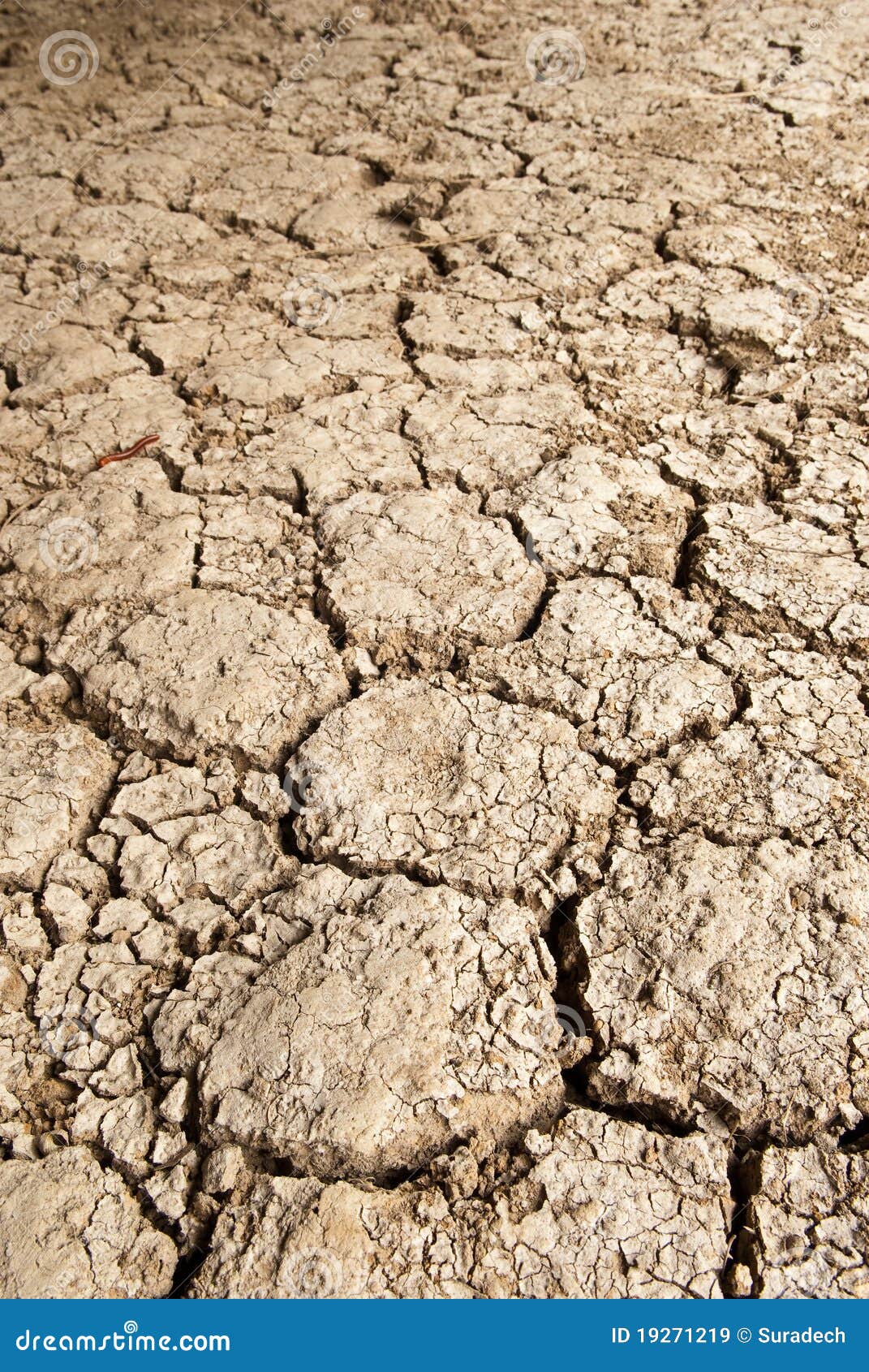 Cracked rough ground stock image. Image of structure - 19271219