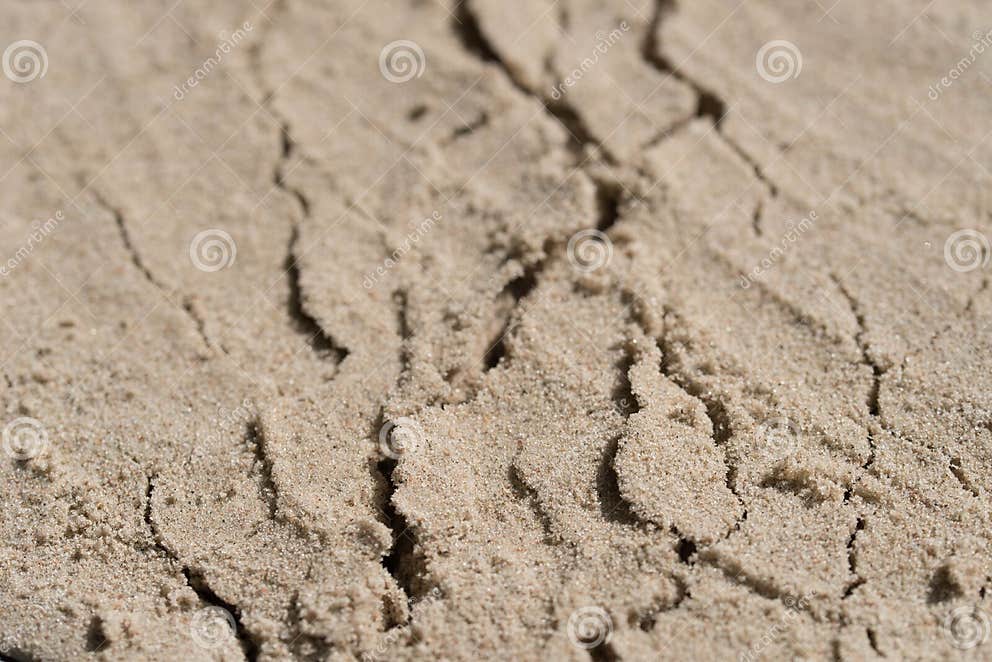 Cracked Sand Background Texture Stock Image - Image of closeup, ecology ...