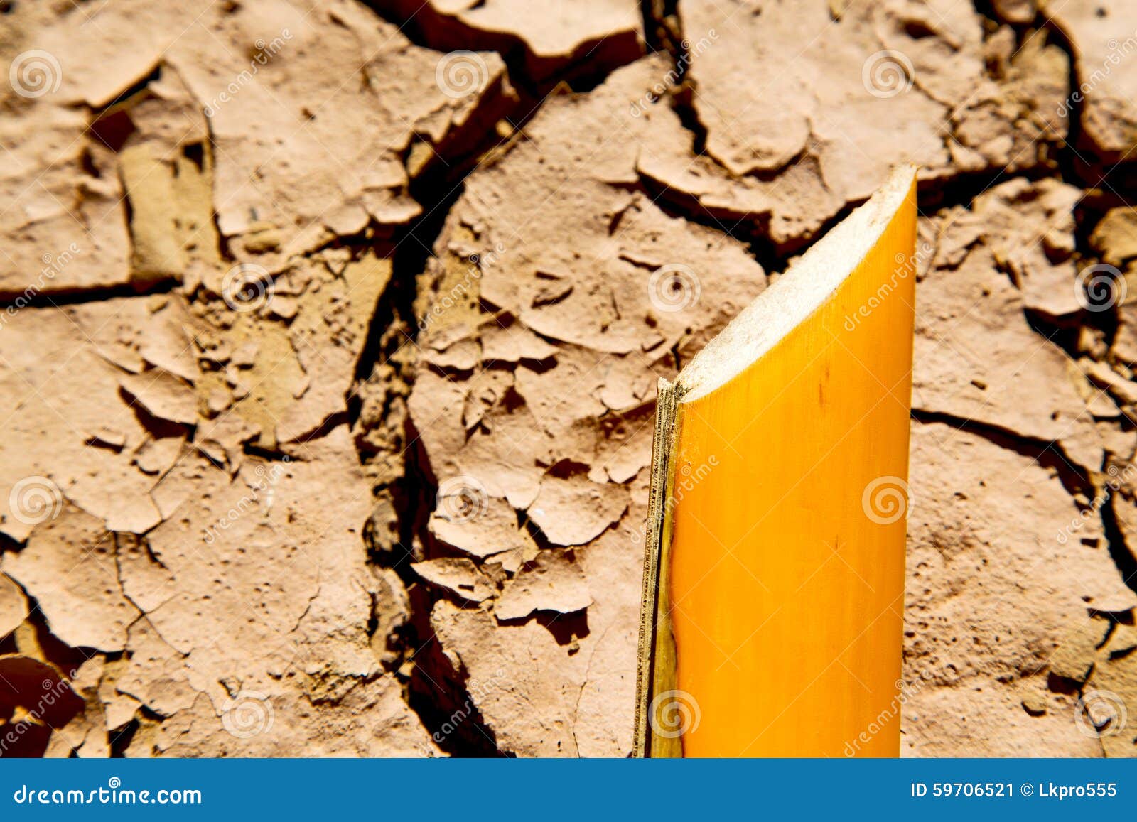 Cracked Sand in Morocco Abstract Bark Stock Image - Image of orange ...