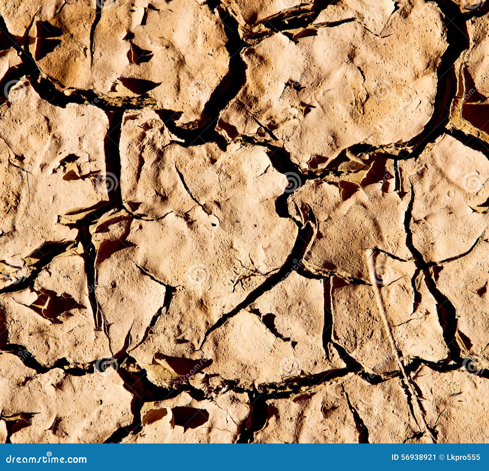 Cracked Sand in Morocco Africa Desert Abstract Macro Stock Image ...