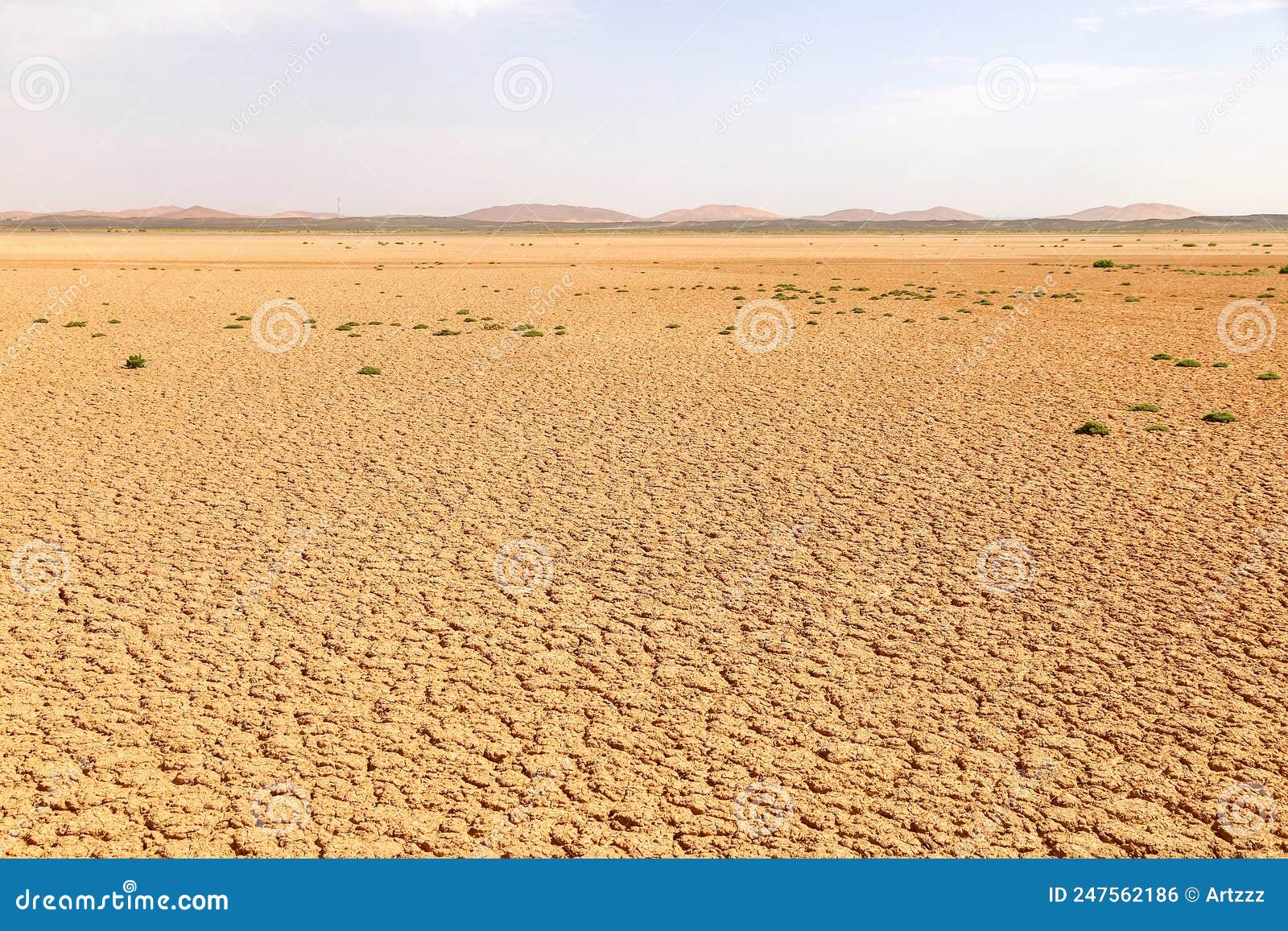 Cracked sand stock photo. Image of ecology, cracks, horizon - 247562186