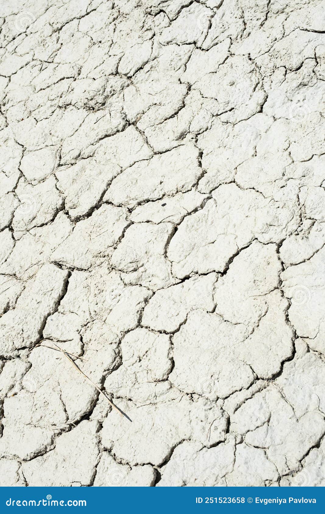 Cracked Sandy Soil Surface. Drought Broken Ground Earth Stock Photo ...