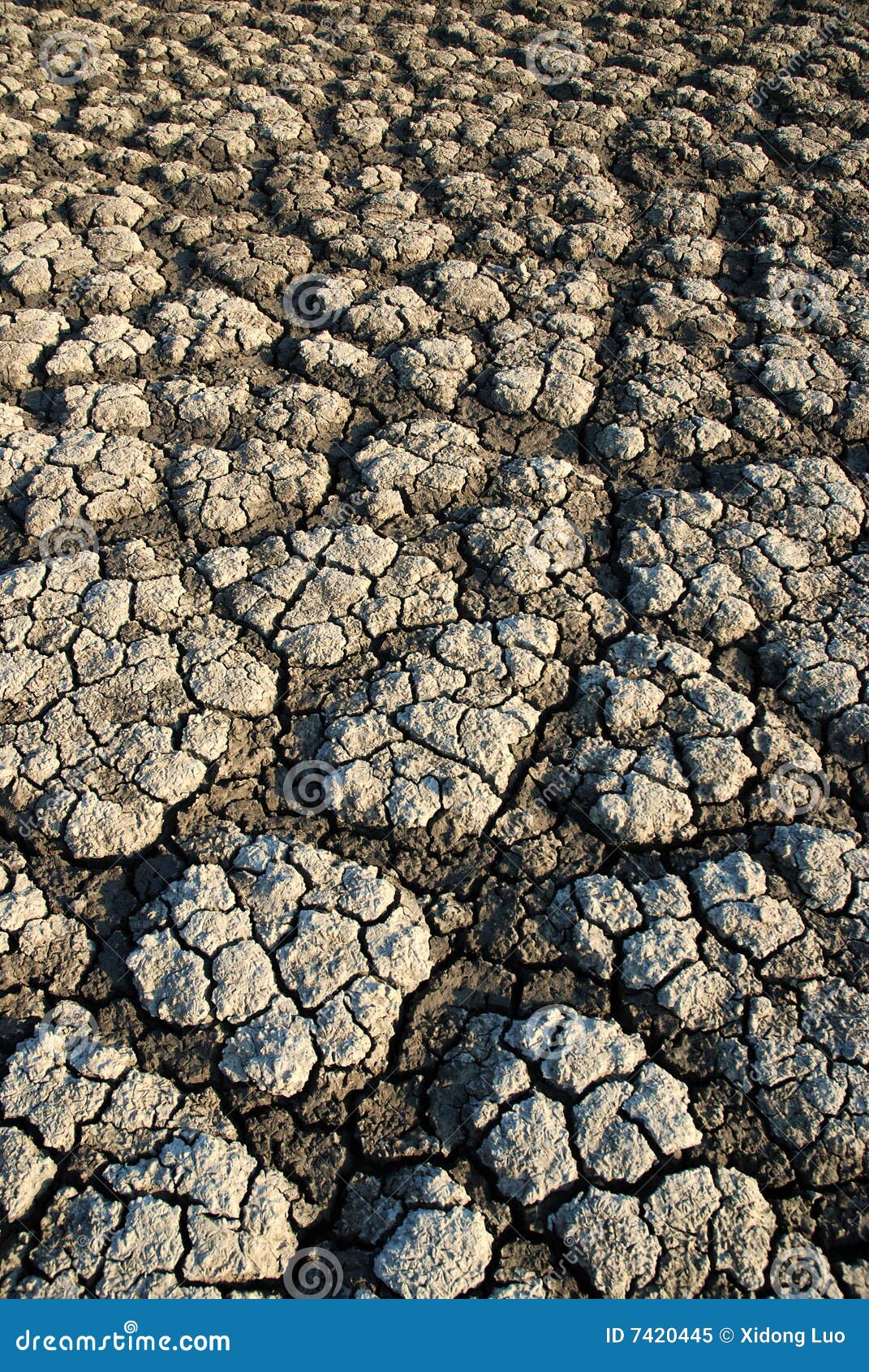 Cracked Seabed stock image. Image of feature, pattern - 7420445