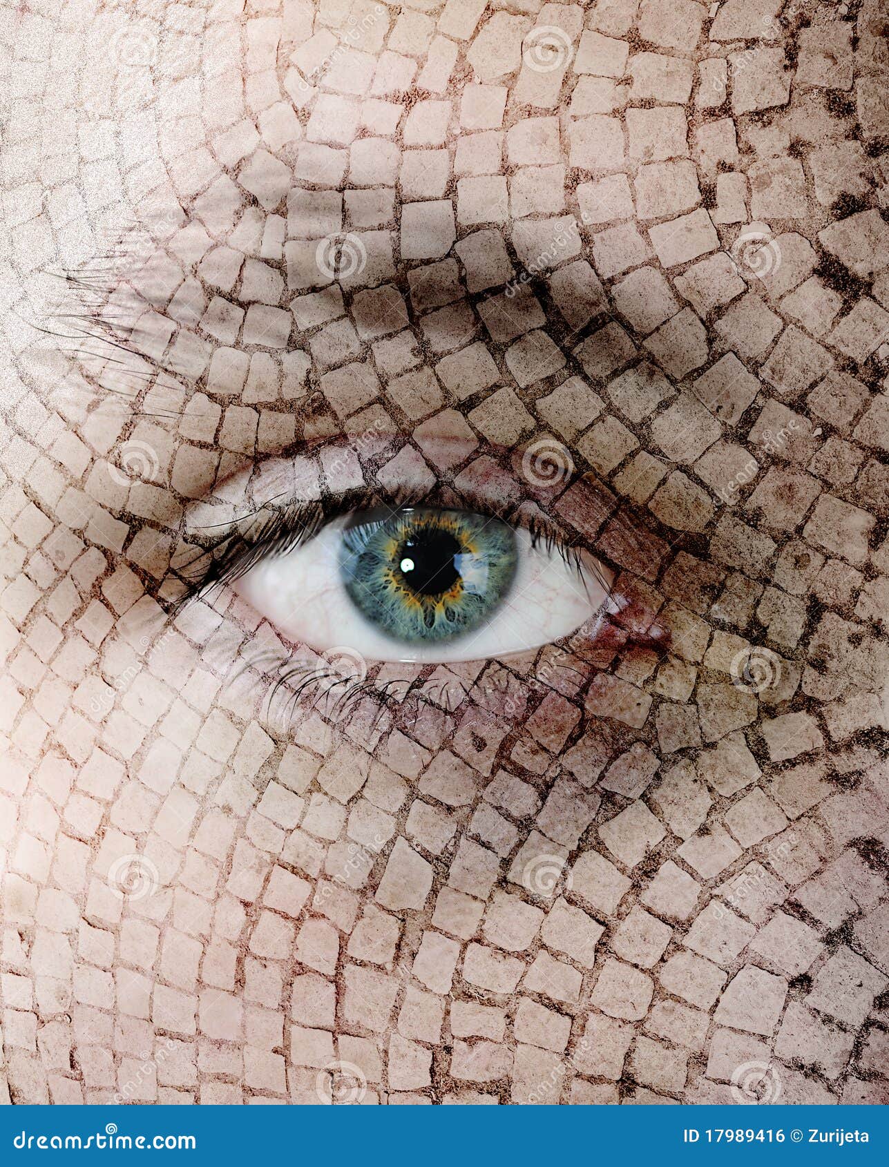 Skin Sun Tan Wet Closeup Texture Background Human Back Royalty-Free ...