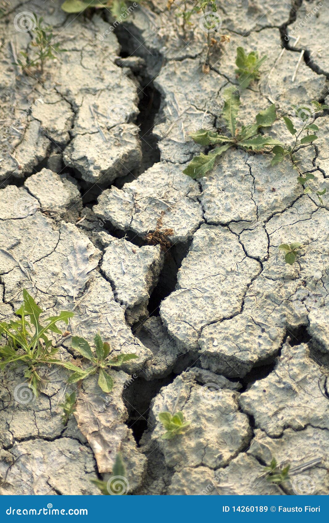 Cracked Soil Ground. Cracked Soil Texture Or Background. Natural ...