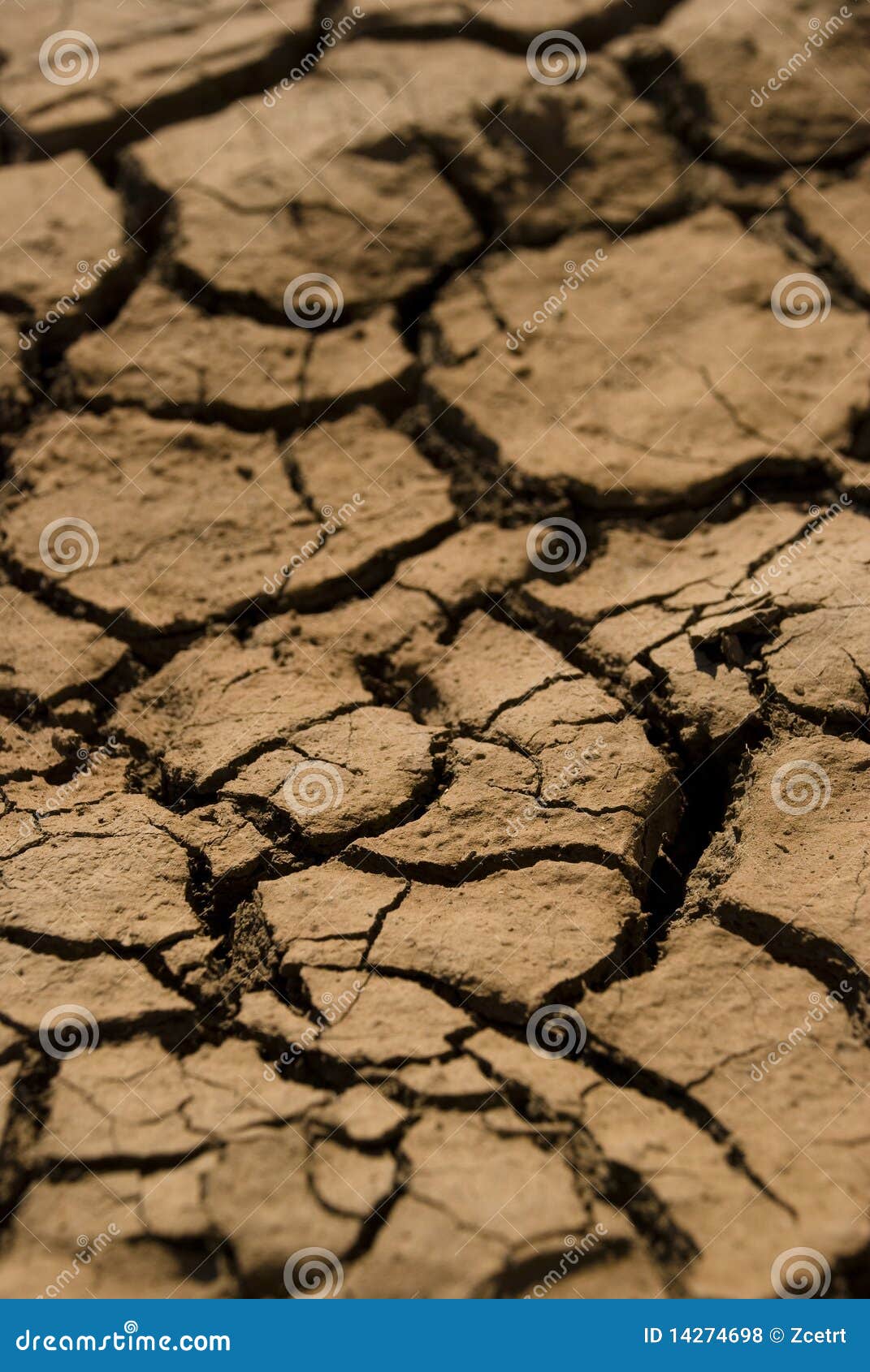 Cracked soil stock photo. Image of background, crop, disaster - 14274698