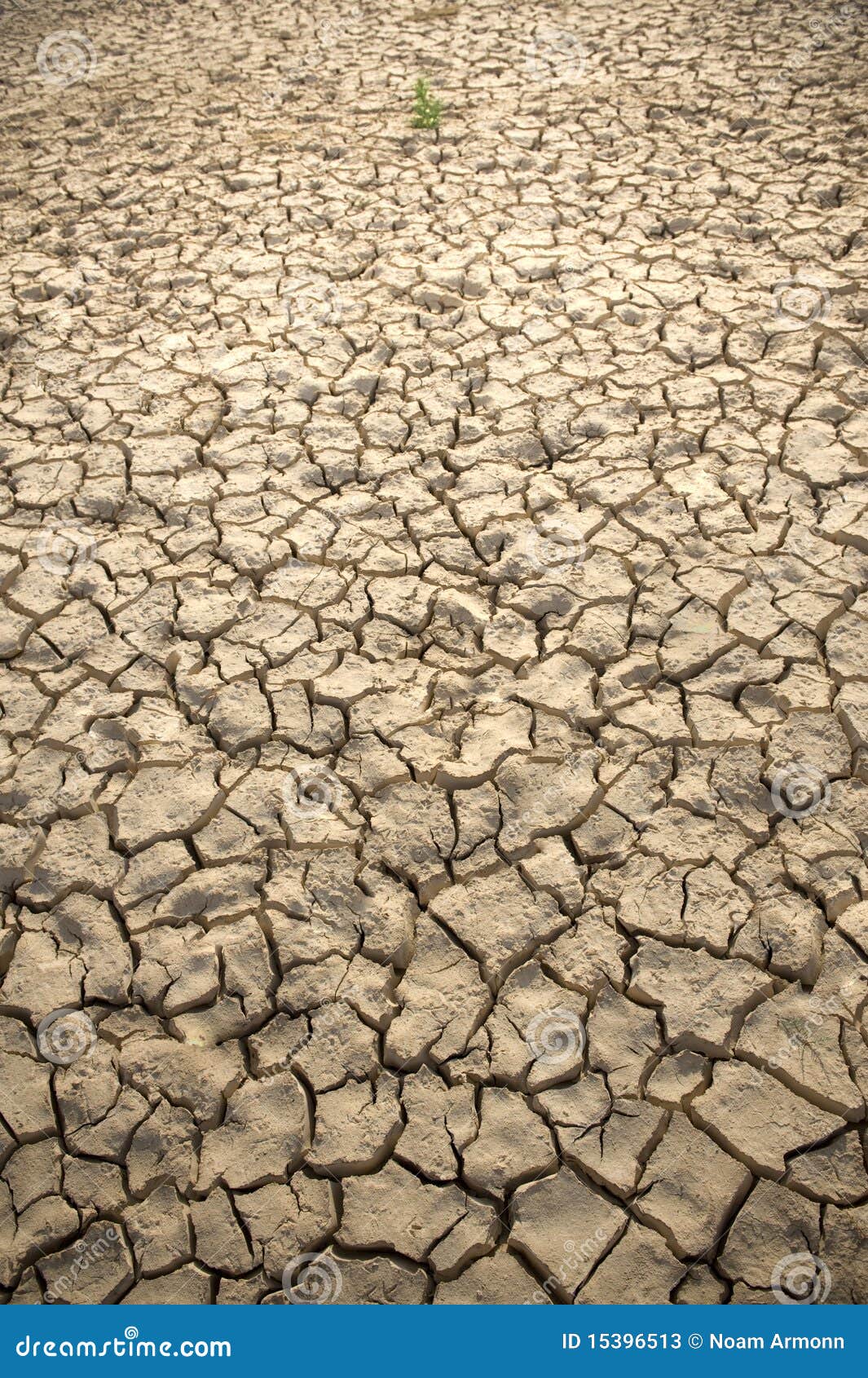 Cracked soil stock image. Image of disaster, natural - 15396513