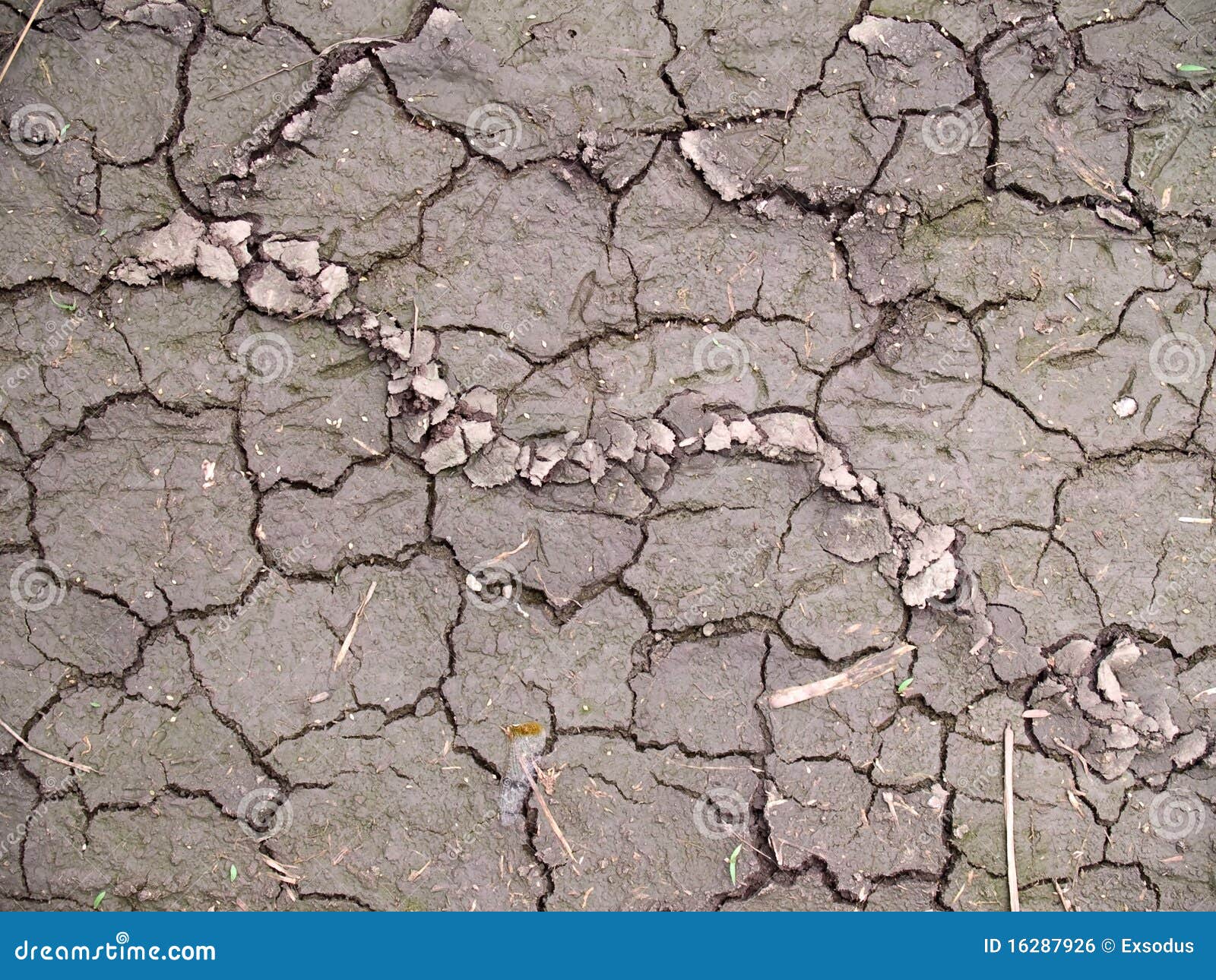 Cracked soil stock photo. Image of mire, earth, broken - 16287926