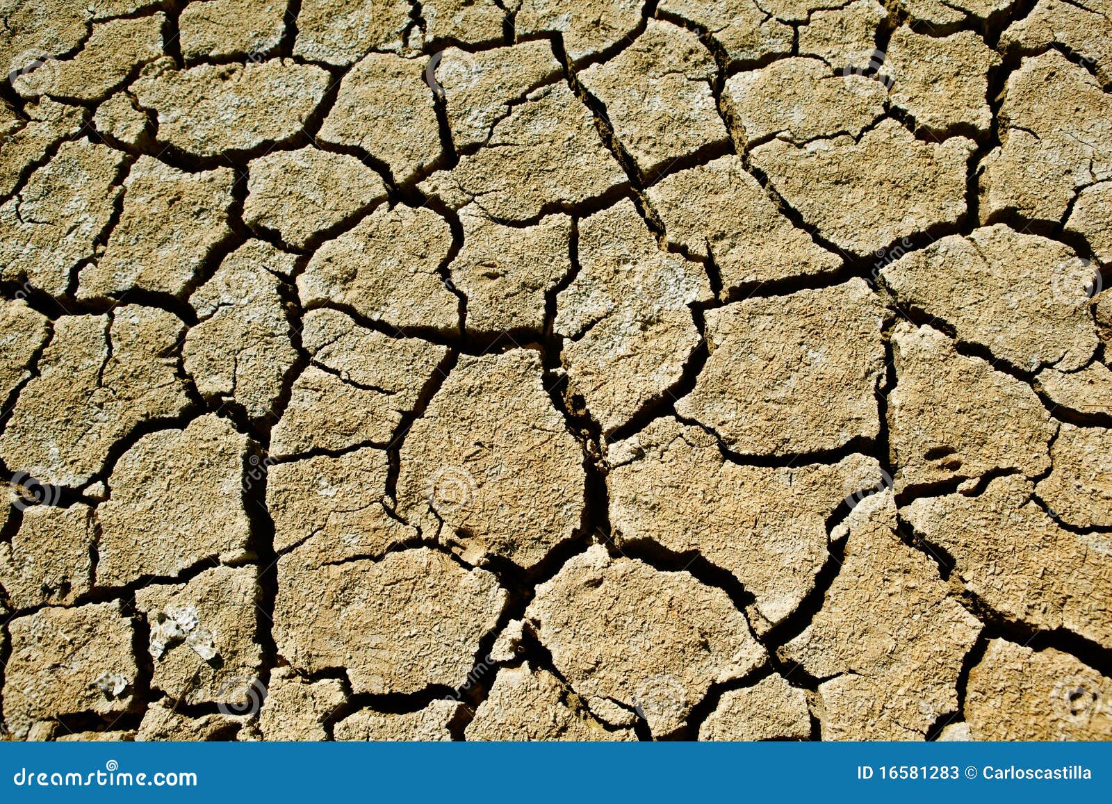 Cracked soil stock image. Image of climate, disaster - 16581283