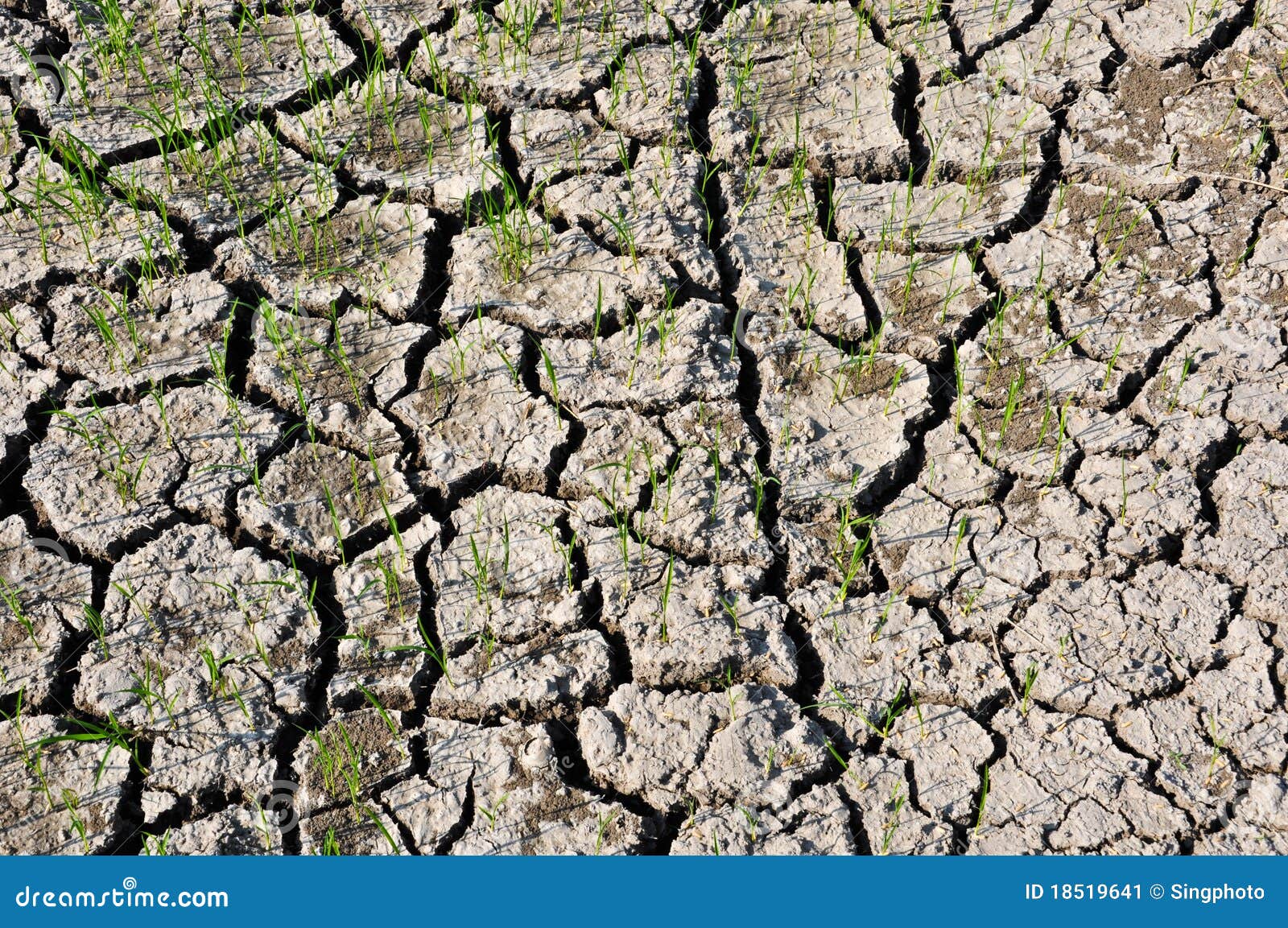 Cracked soil stock image. Image of desert, environment - 18519641