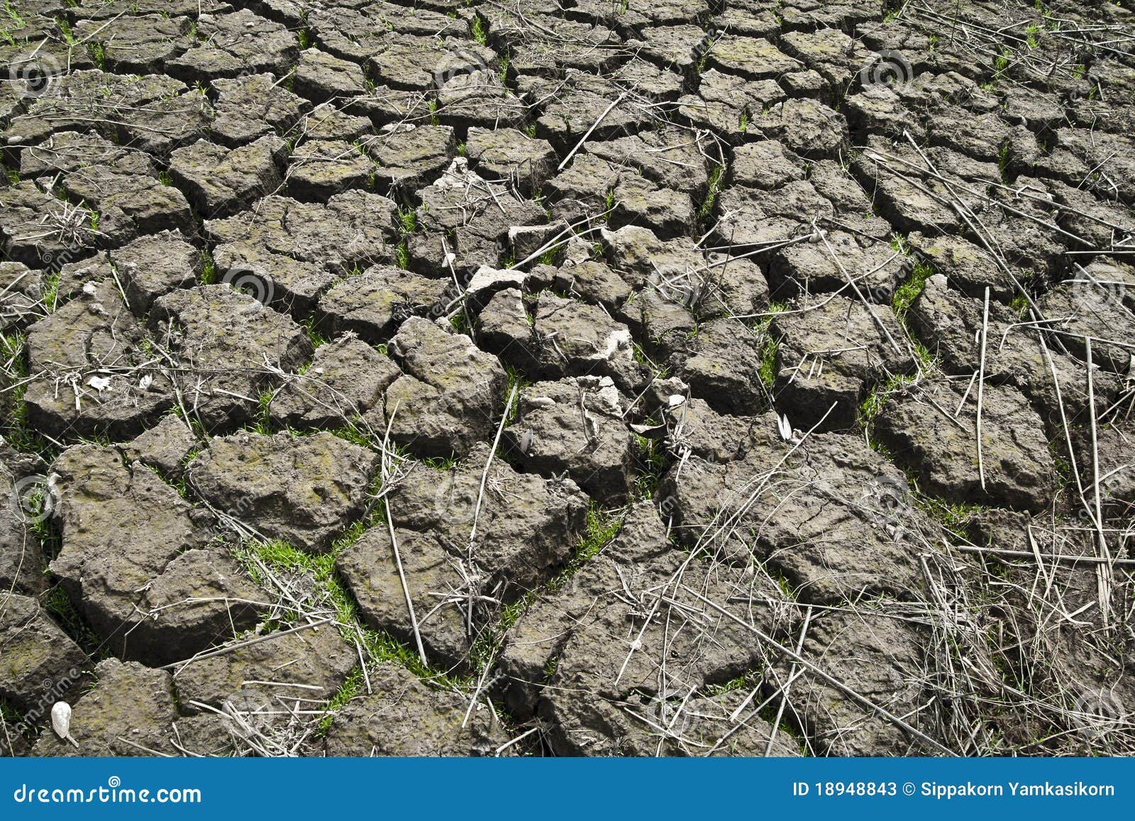 Cracked soil stock image. Image of environmental, erosion - 18948843