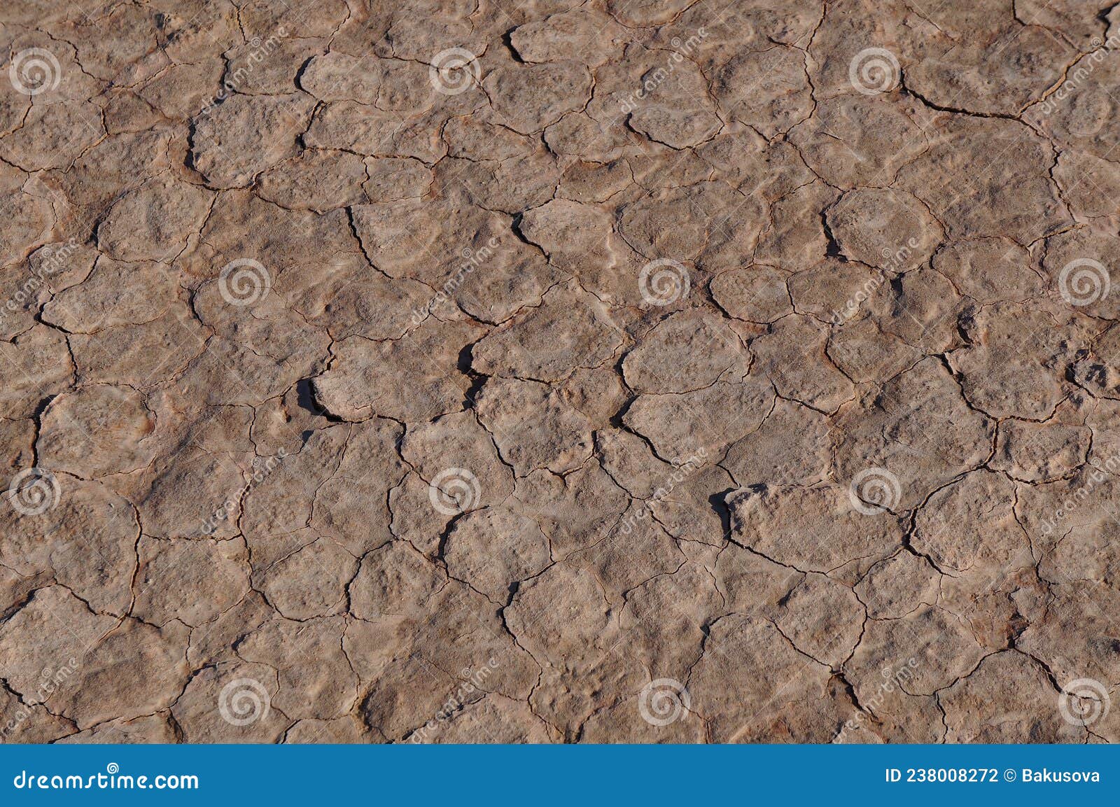 Cracked Soil of the Arava Desert Stock Photo - Image of agriculture ...
