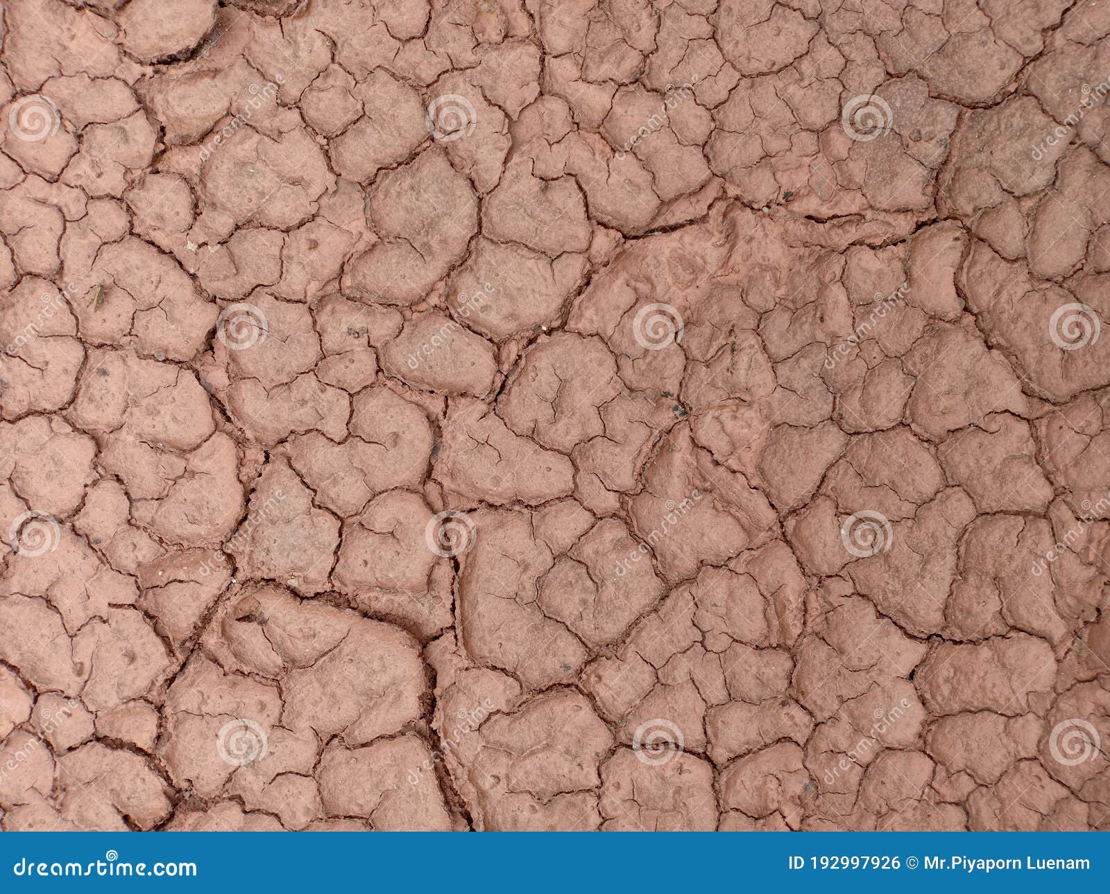 Cracked Soil Background Image. Stock Photo - Image of brawn, textured ...