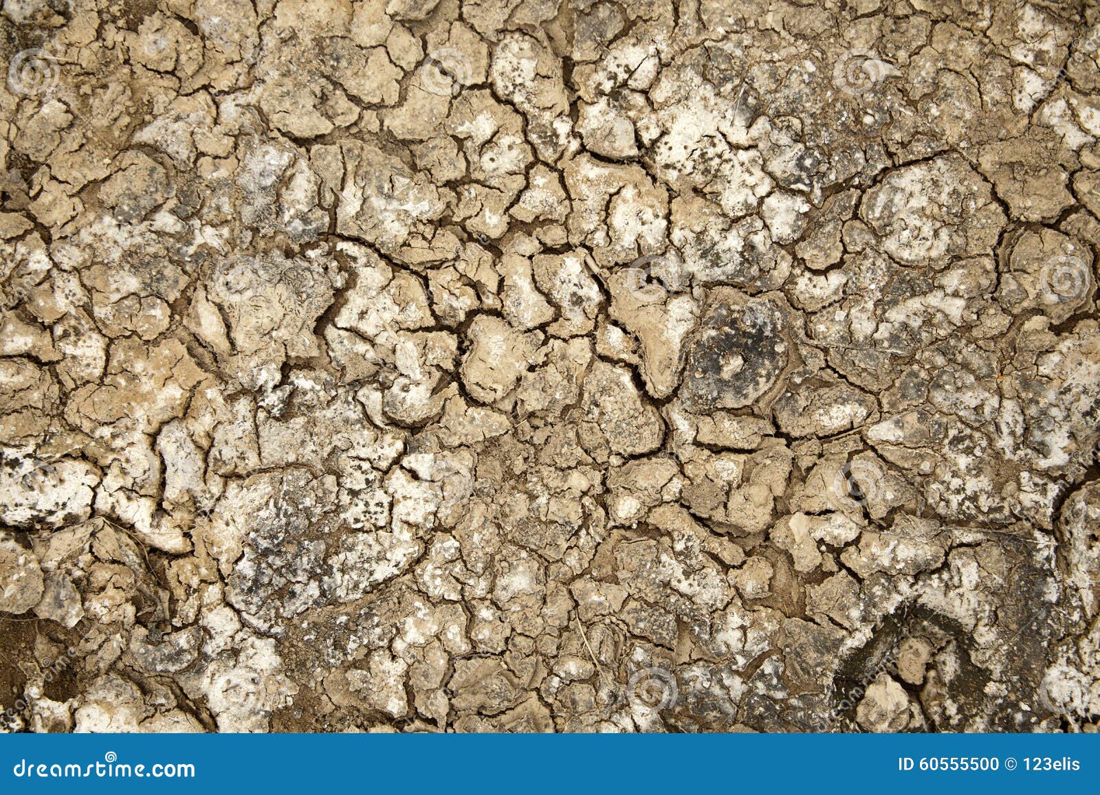 Cracked soil background stock photo. Image of beautiful - 60555500