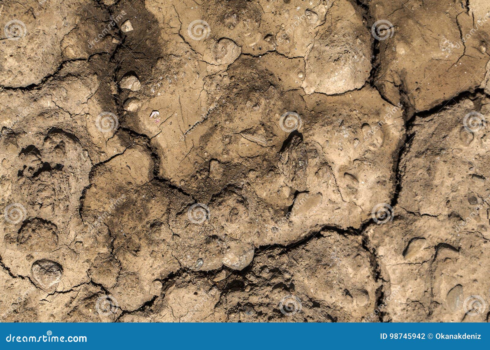 Cracked Soil Background Texture Stock Photo - Image of detail, dirty ...