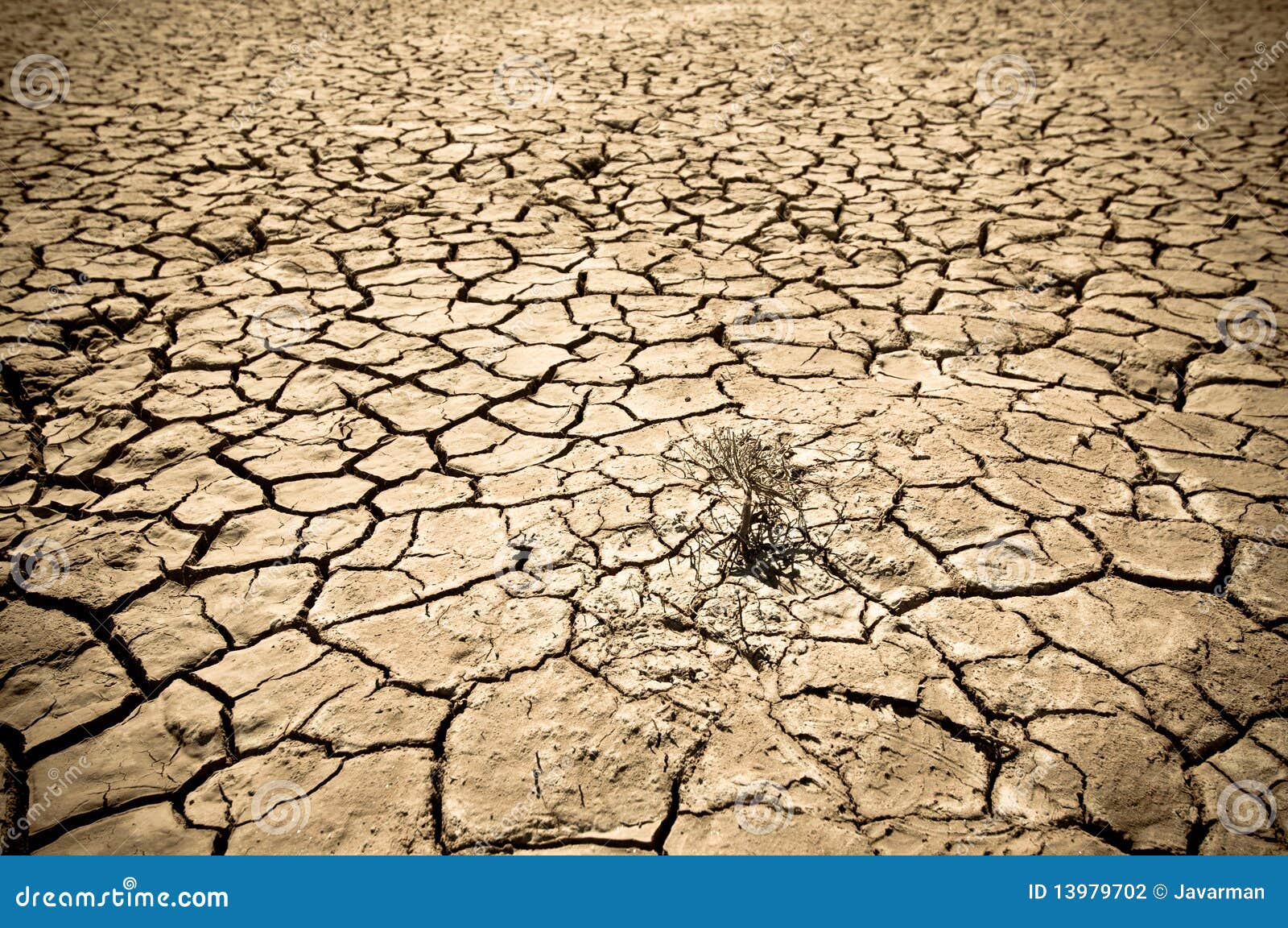 Cracked soil of desert stock photo. Image of earth, heat - 13979702
