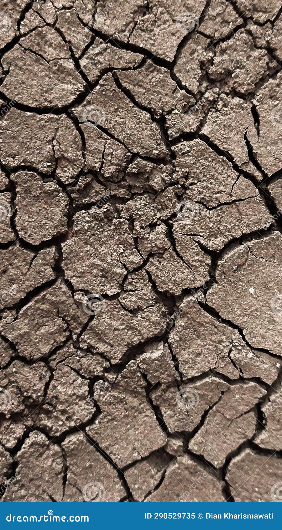Cracked Soil in Dried Mud, Cracked Mud, the Mud Dries Up Stock Image ...