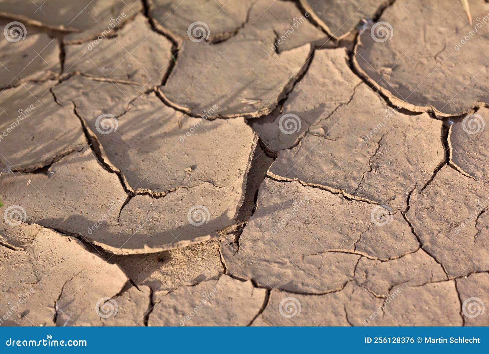 Cracked Ground during a Drought Stock Photo - Image of earth, crack ...