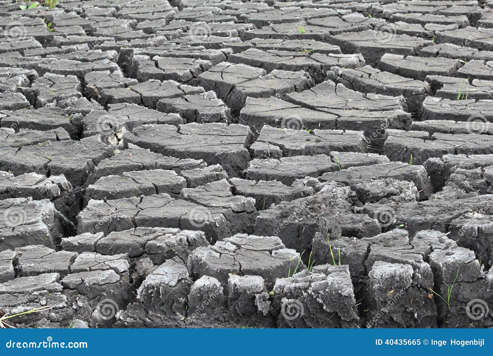 Slits in a Draught Soil, Caused by El Nino Stock Image - Image of ...