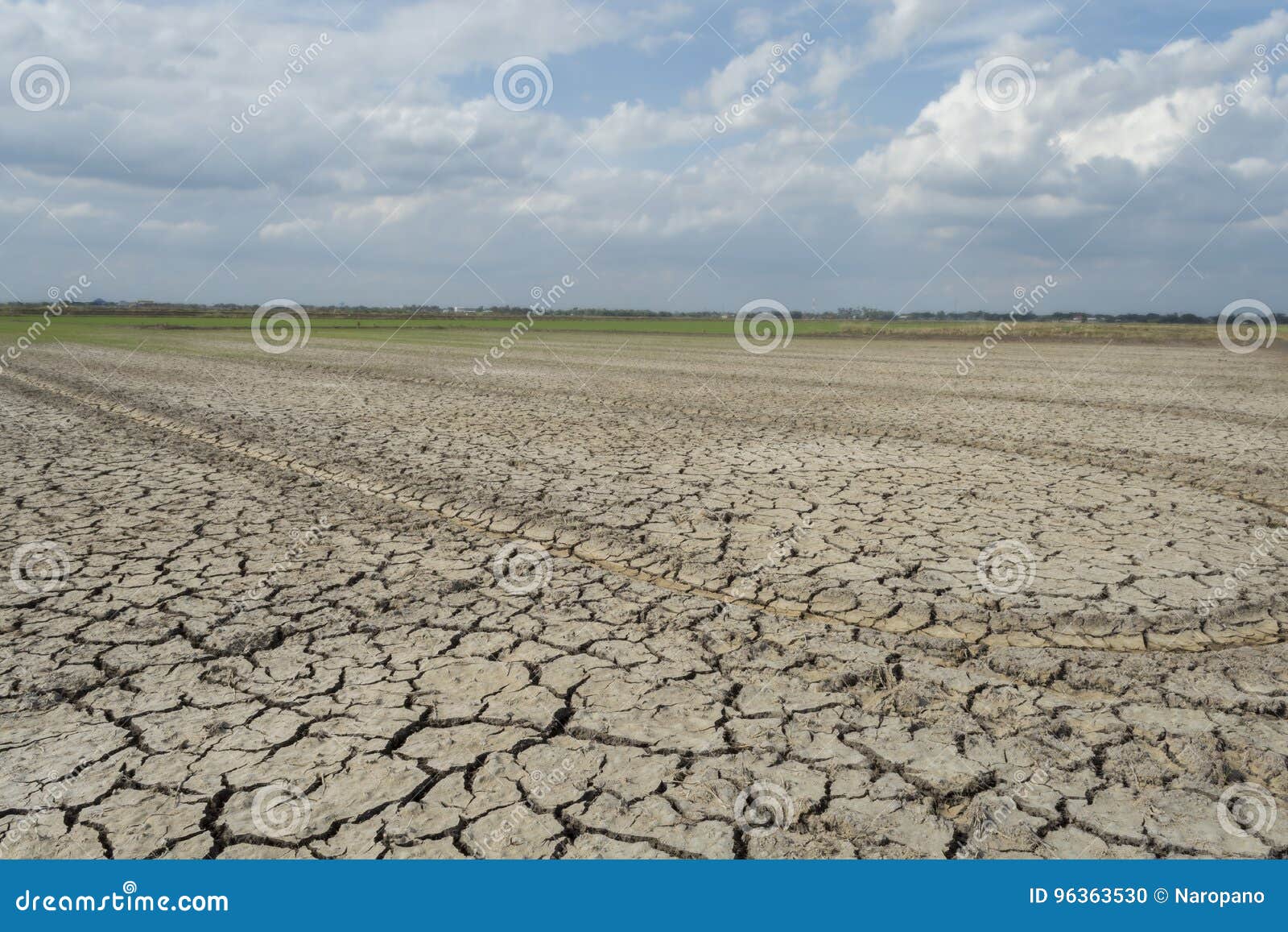 Cracked soil ground stock photo. Image of land, drought - 96363530