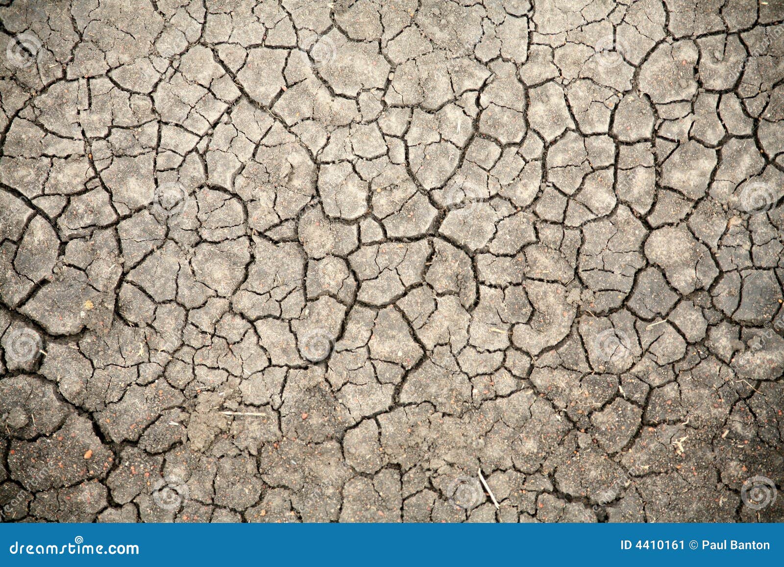 Cracked Soil Texture Royalty-Free Stock Photography | CartoonDealer.com ...