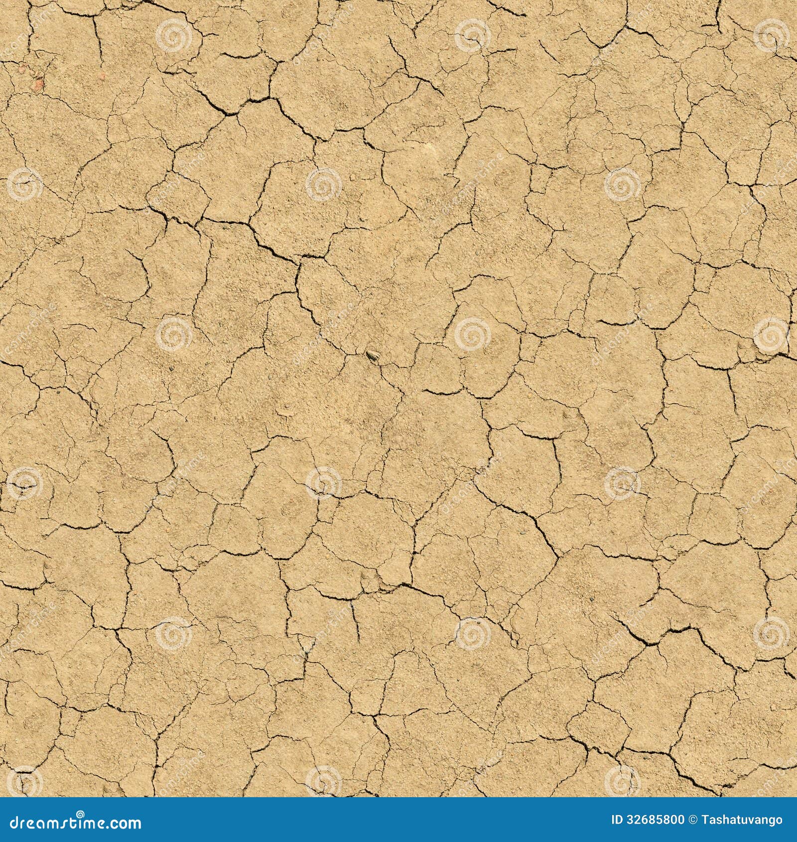 Soil Seamless Texture Stock Photography | CartoonDealer.com #130217876 Soil Seamless Texture Stock Photography | CartoonDealer.com #130217876