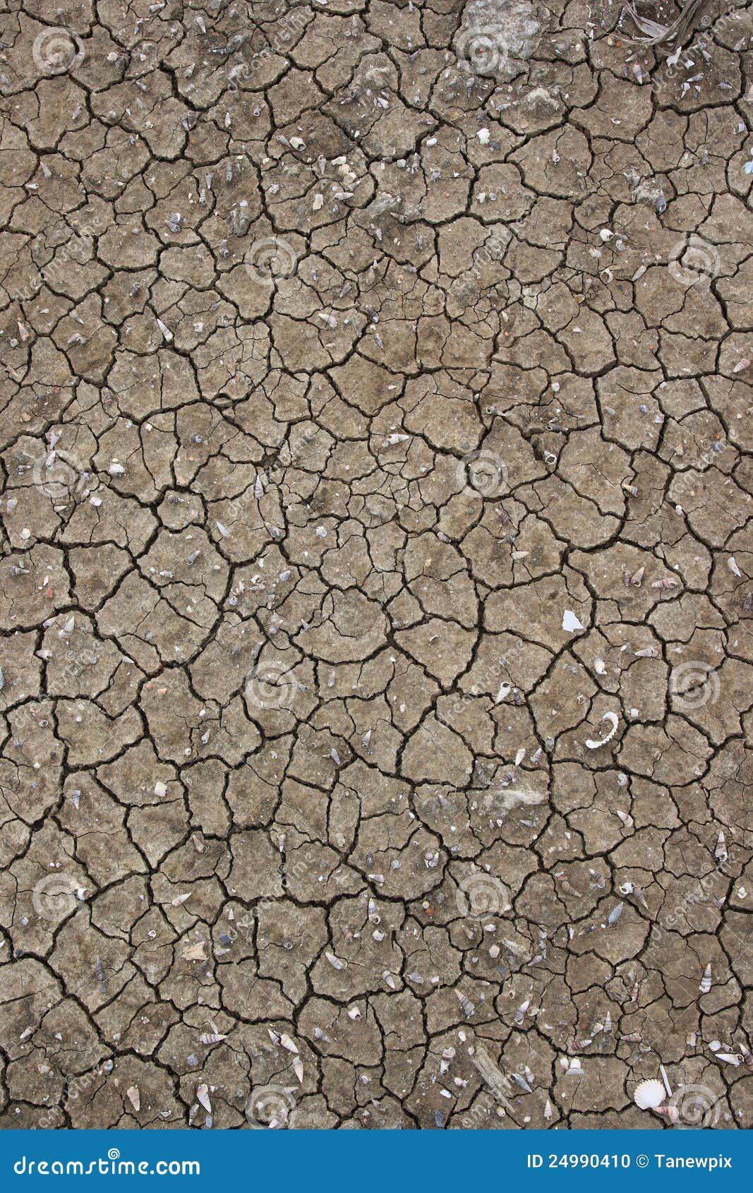 Cracked soil texture. stock photo. Image of crack, global - 24990410