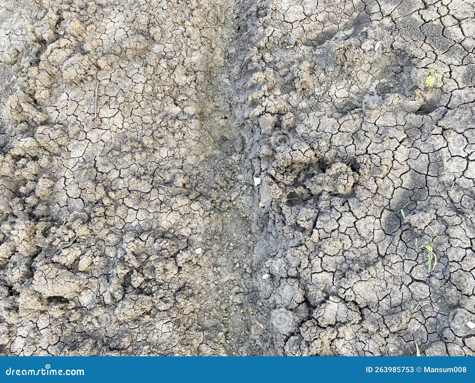 Cracked Soil Texture Background Stock Image - Image of cracked, heat ...
