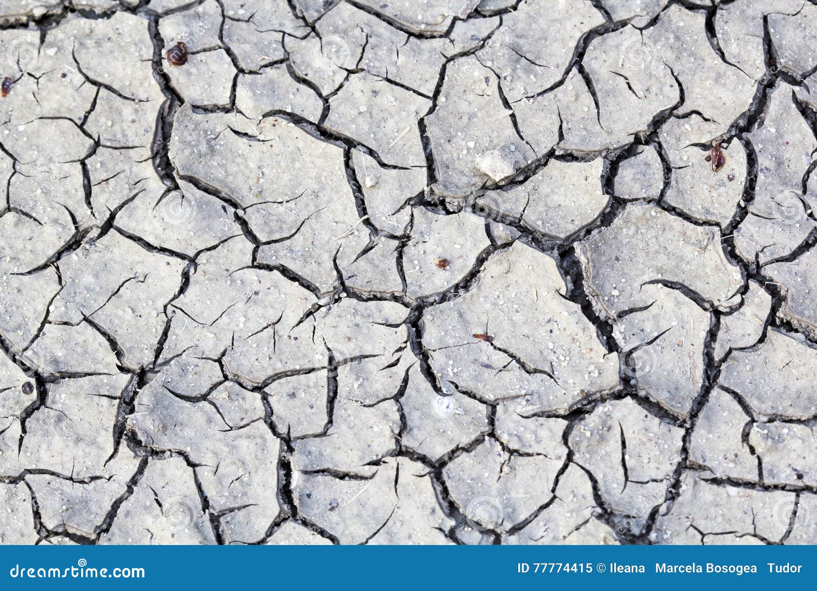 Cracked Soil - Texture and Background Stock Image - Image of backdrop ...