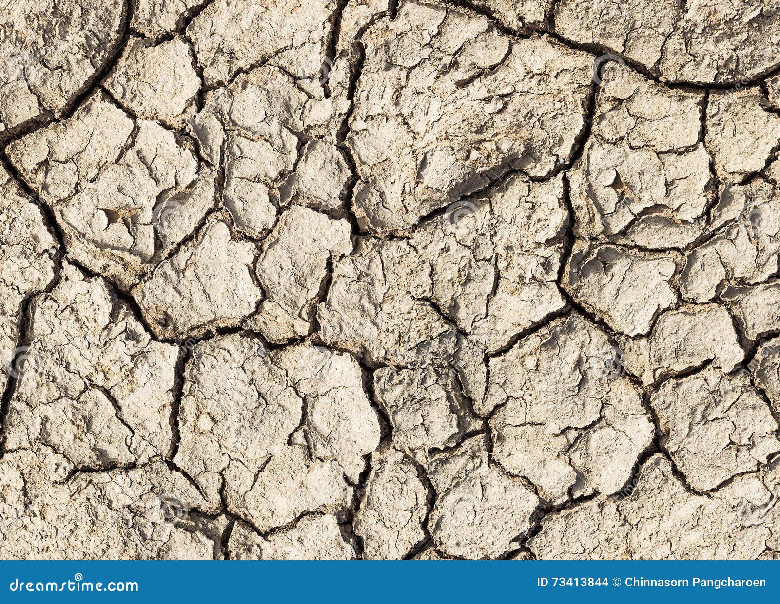 Cracked soil texture stock photo. Image of material, cranny - 73413844