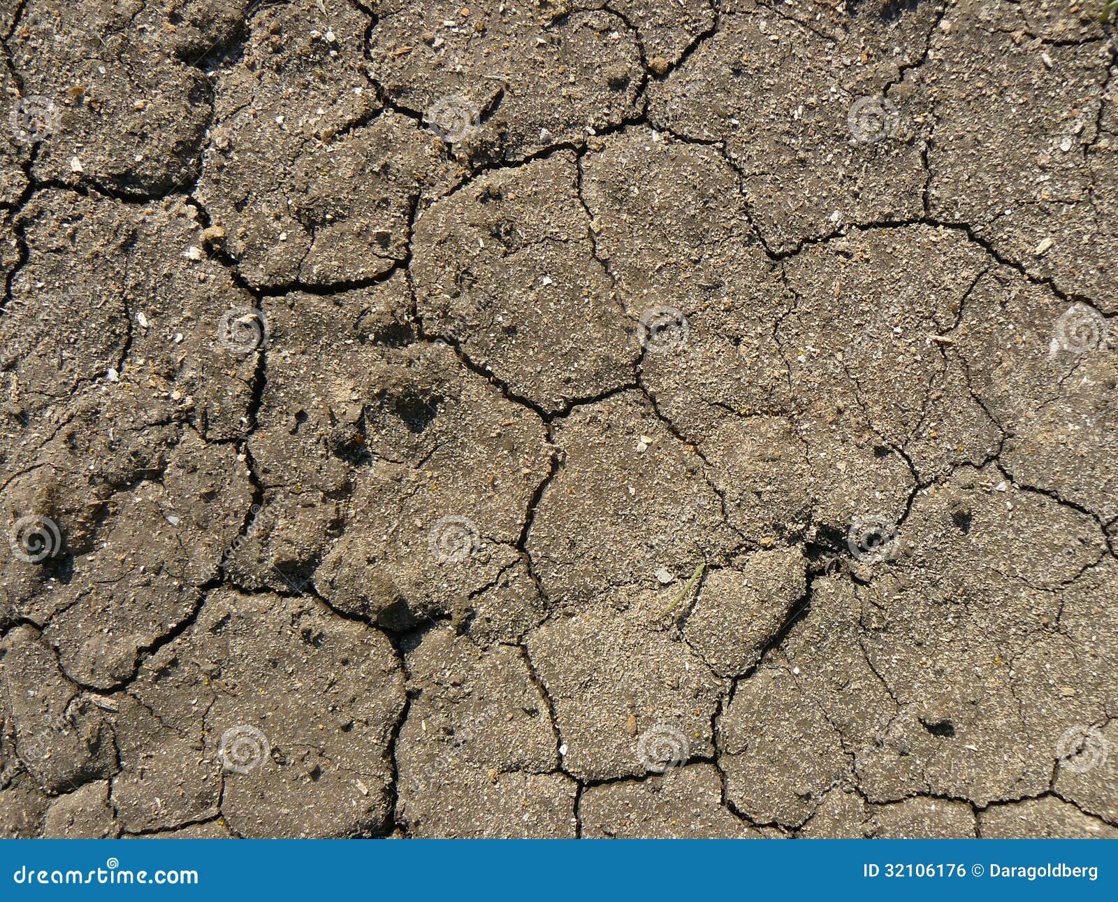 Cracked soil texture stock photo. Image of textures, fracture - 32106176