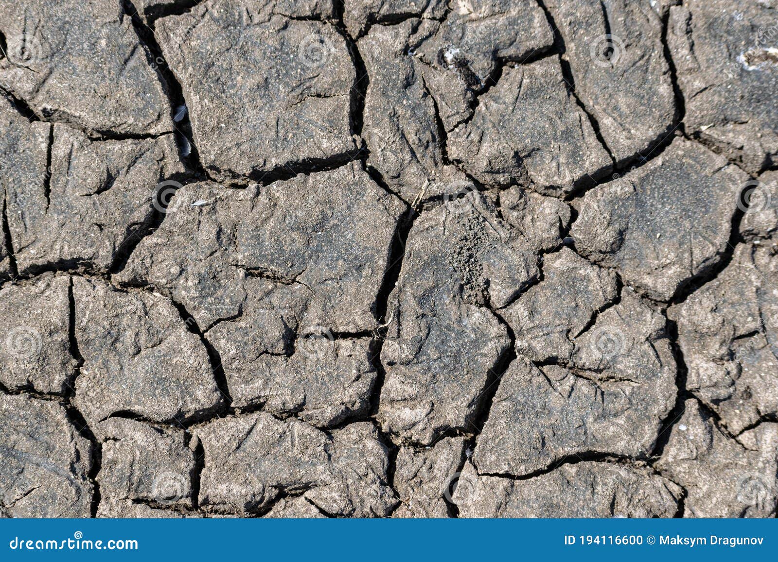 Cracked soil texture stock photo. Image of pattern, ground - 194116600
