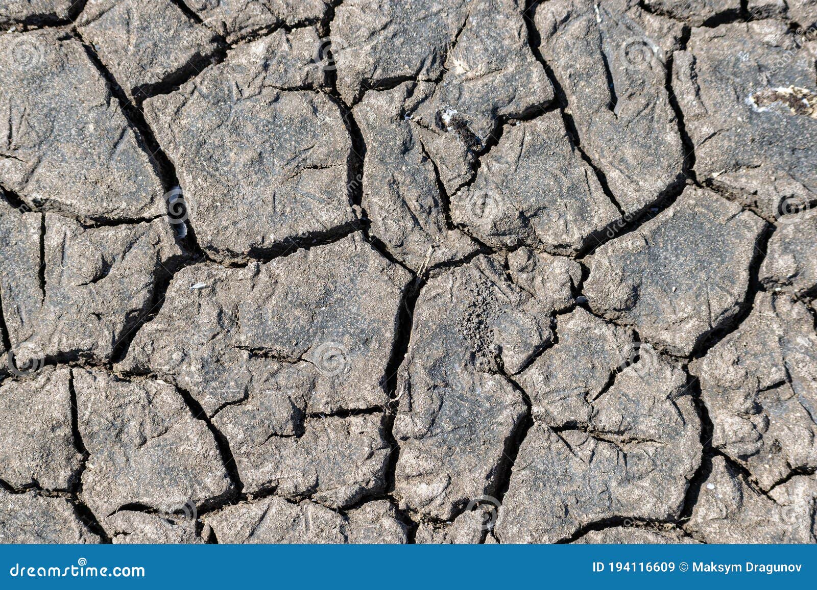 Cracked soil texture stock image. Image of dirt, crack - 194116609
