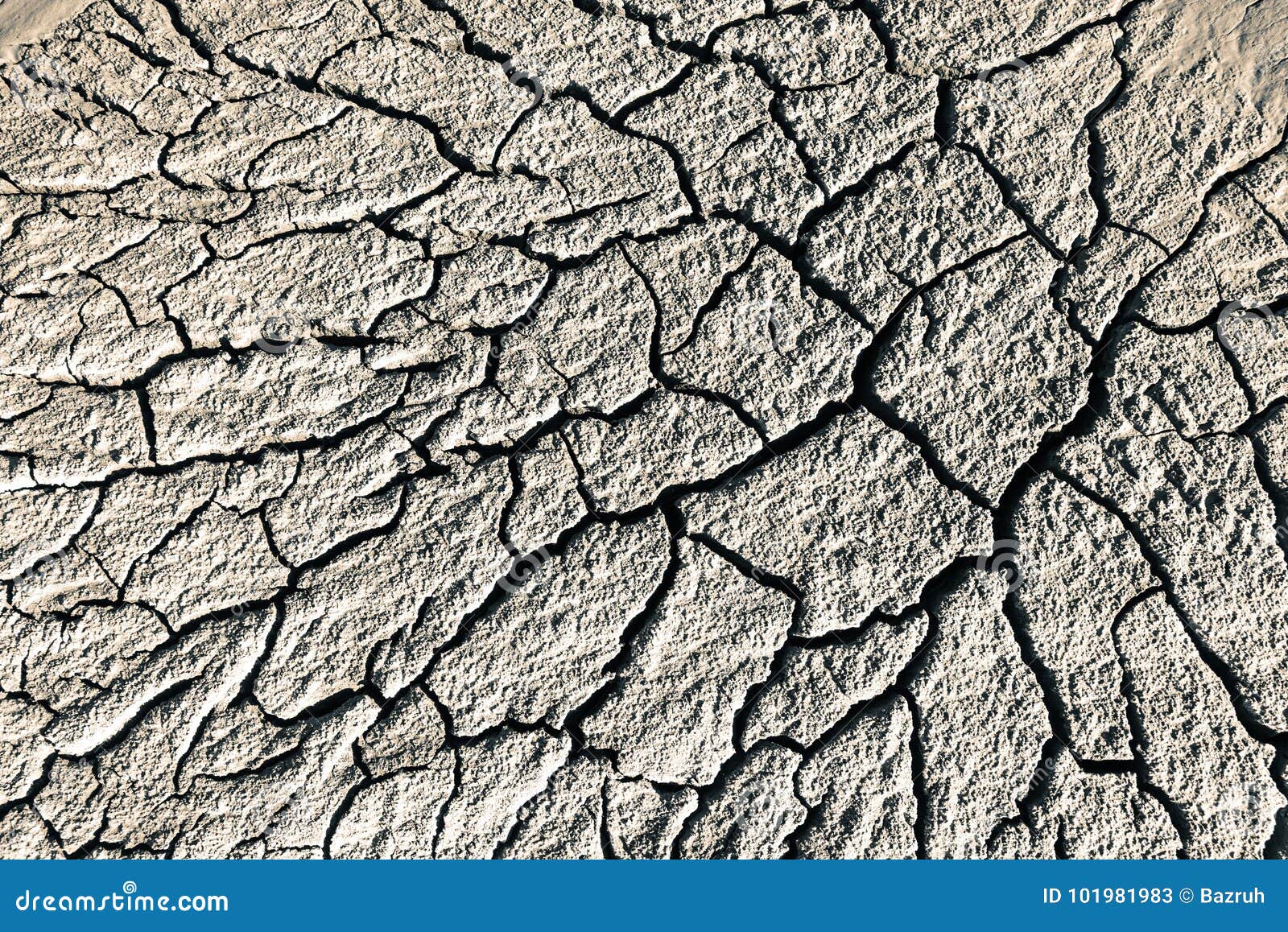 Cracked soil texture stock image. Image of earth, ground - 101981983
