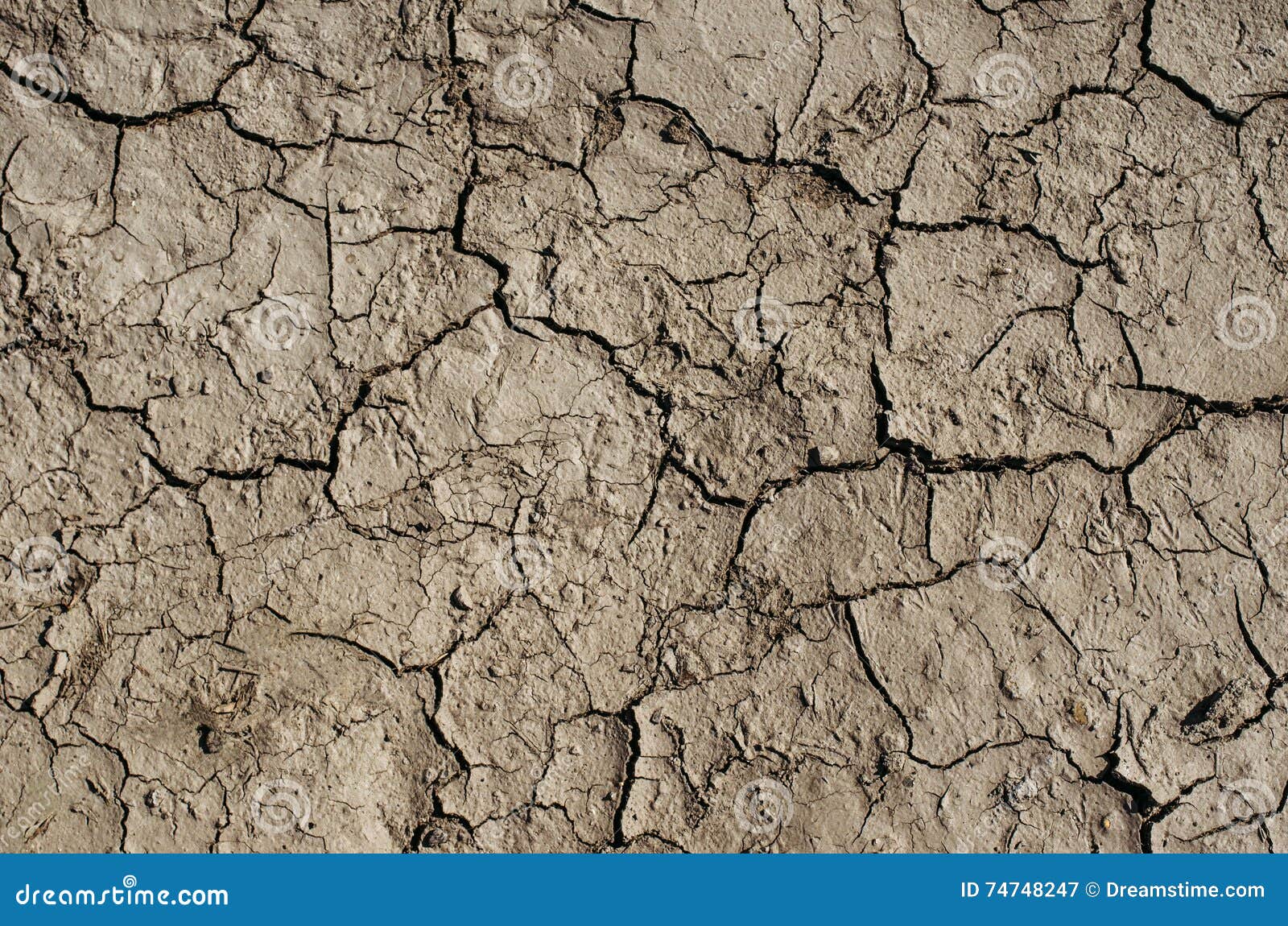 Cracked soil stock image. Image of cracks, erosion, texture - 74748247