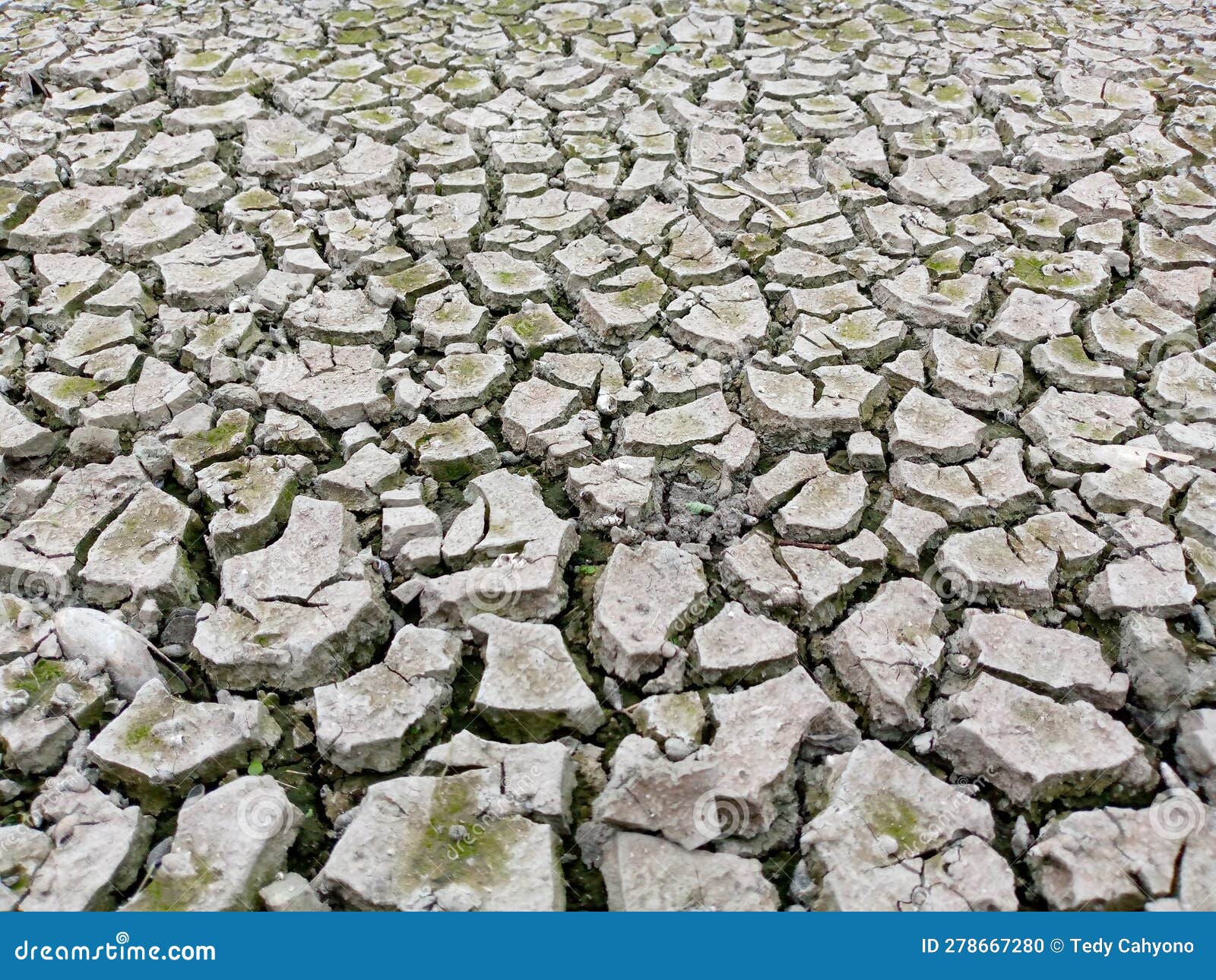 A cracked soil wallpaper stock photo. Image of soil - 278667280