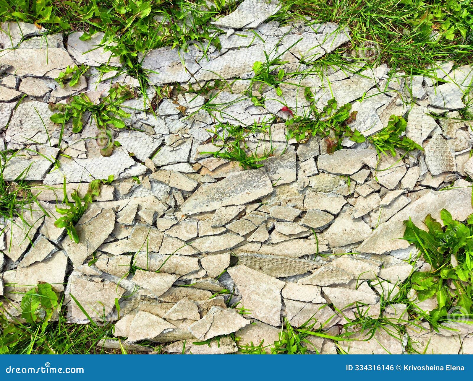 A Cracked Stone Path Weaves through Lush Grass, Providing a Textured ...