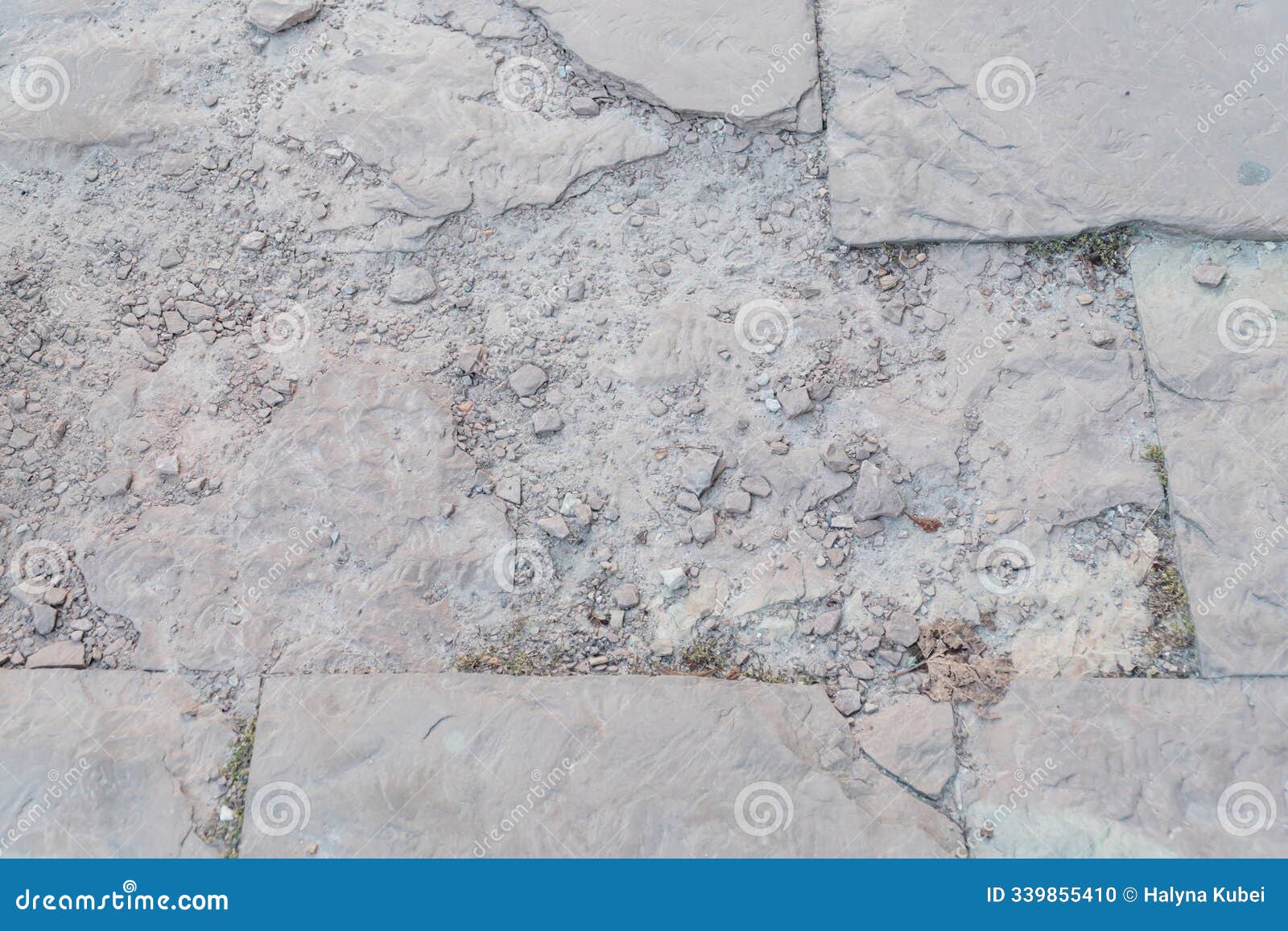 Cracked Stone Pathway with Earthy Texture and Pebbled Accents Stock ...