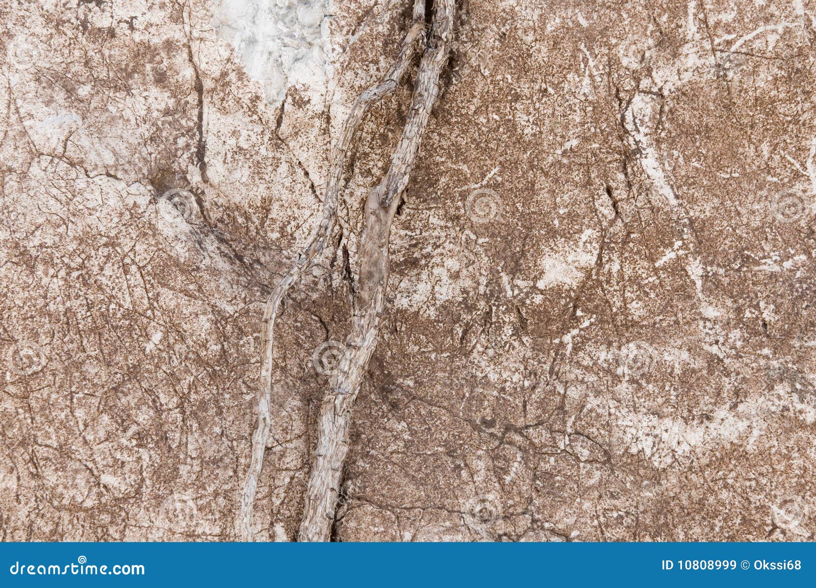 Cracked stone surface stock image. Image of materials - 10808999