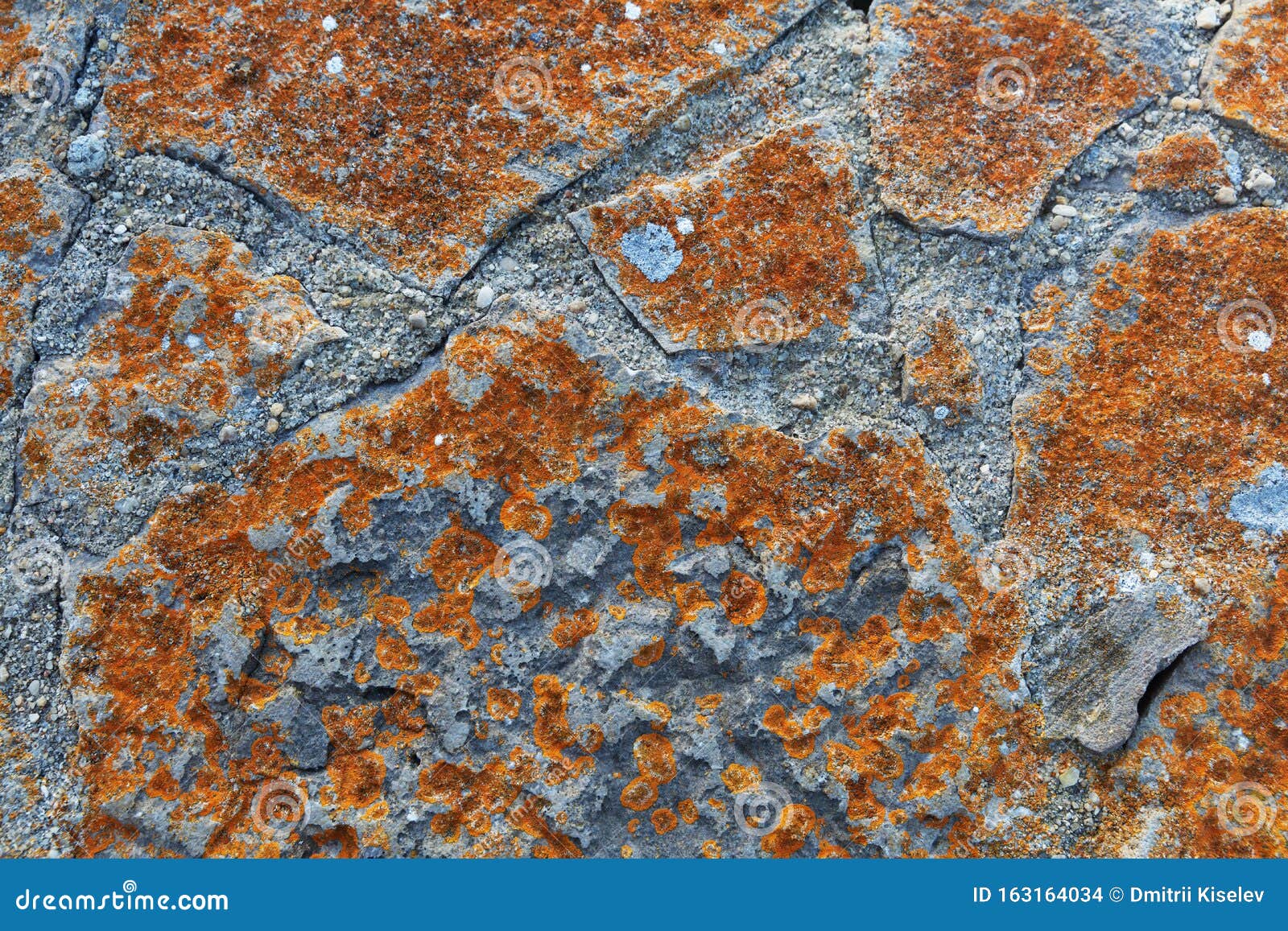 Cracked stone surface stock photo. Image of geology - 163164034