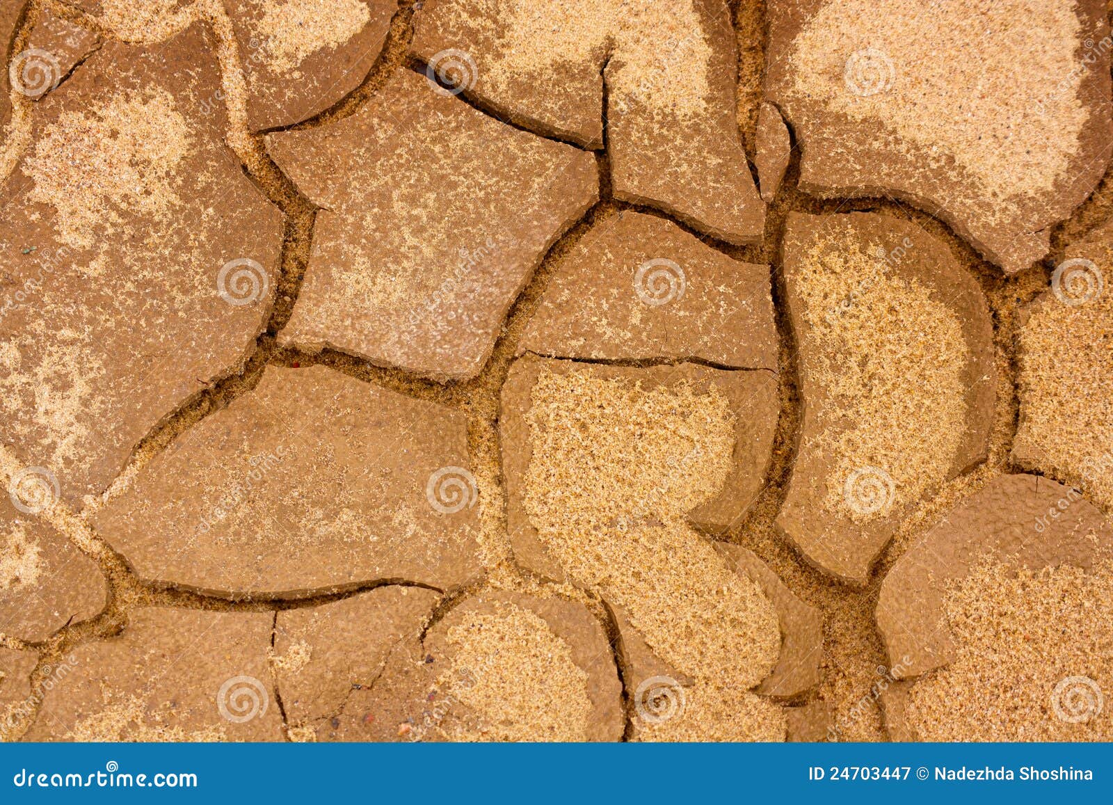 Cracked terrain texture stock image. Image of eroded - 24703447